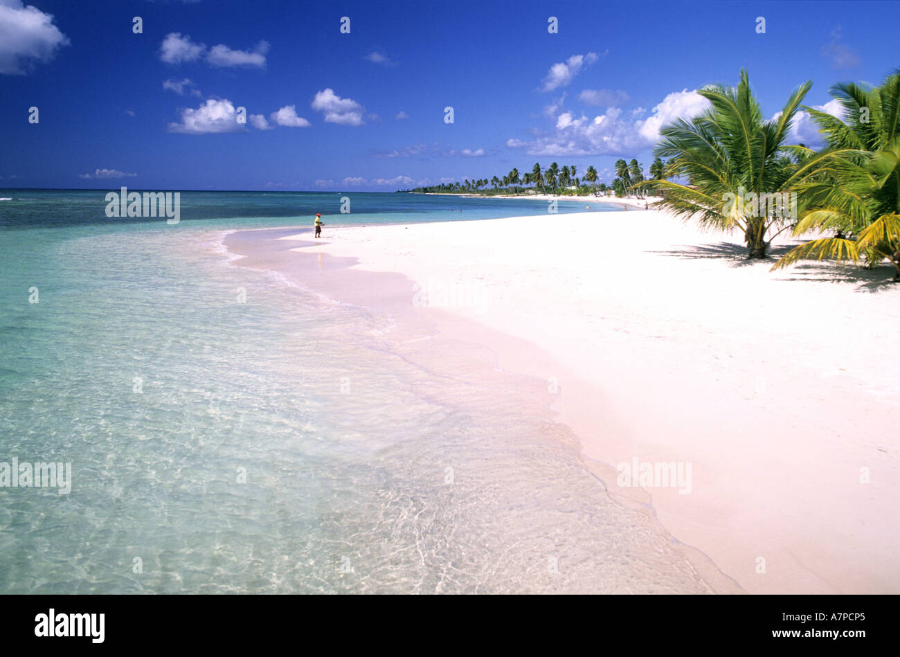 Dominican Republic, Saona island, the beautiful beaches that make the ...