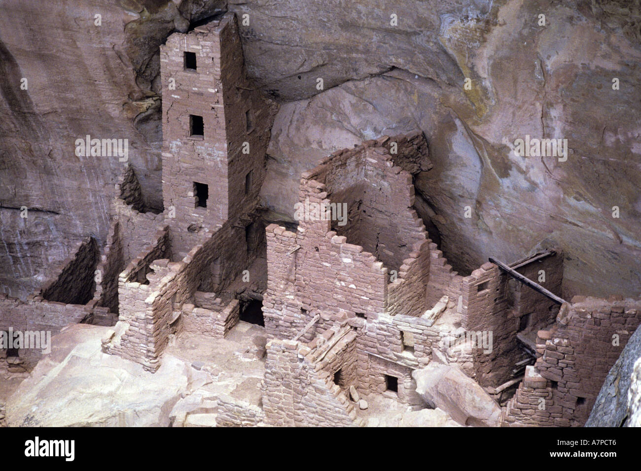 Spruce Tree House in the Mesa Verde national park, USA, Colorado Stock ...