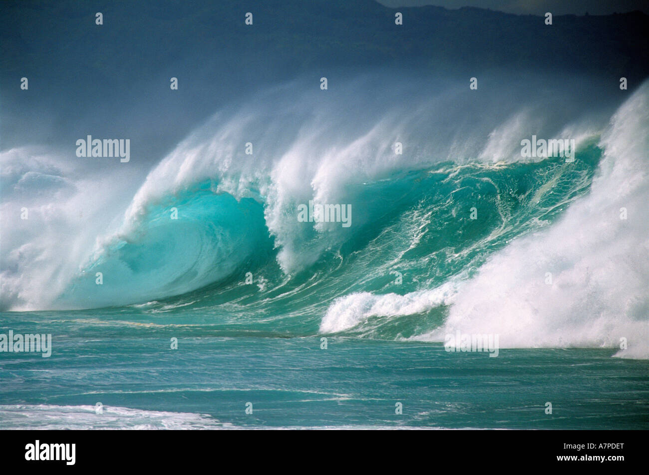 Large winter wave on the North Shore of the island of Oahu Hawaii USA ...