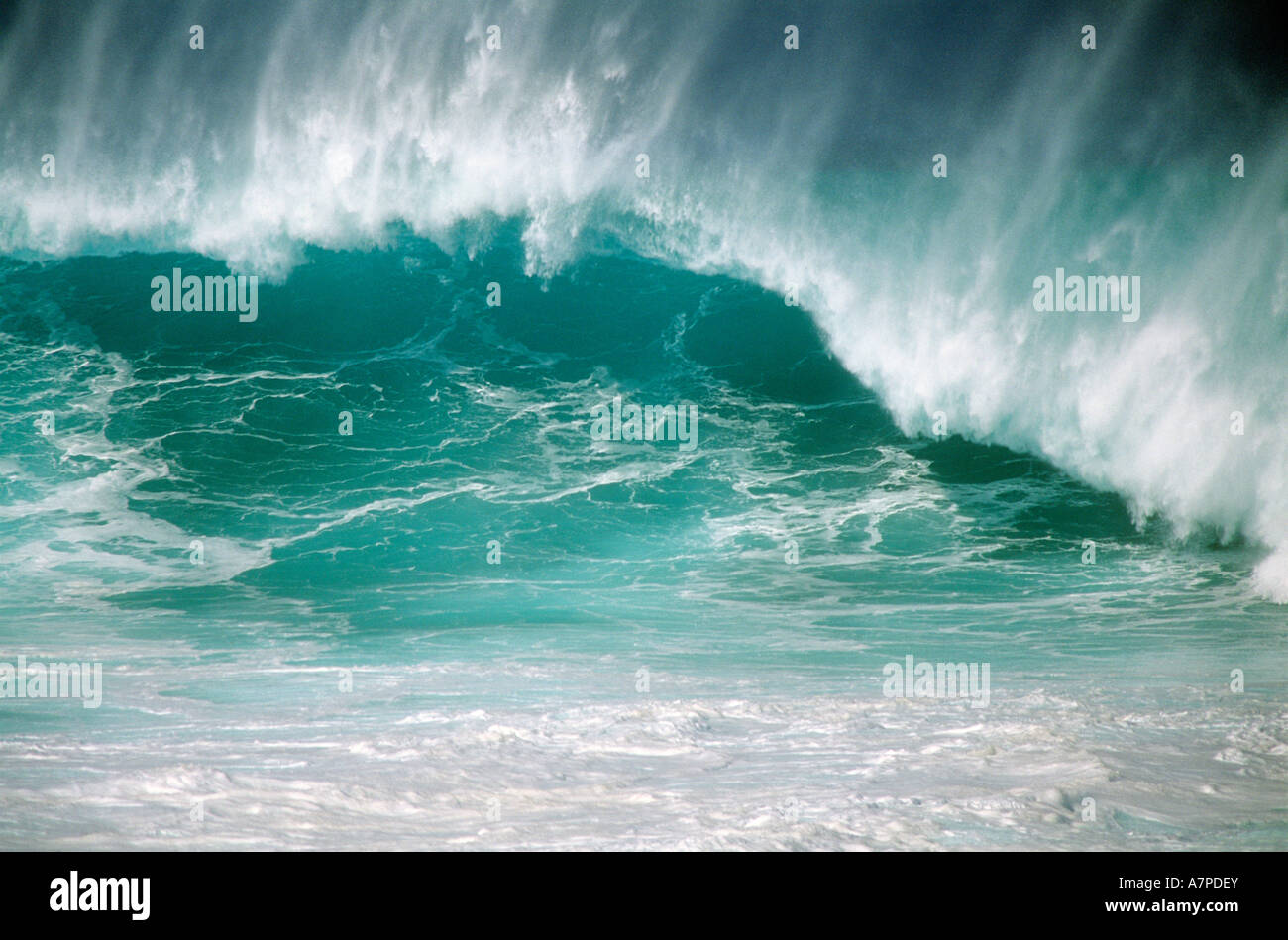 Large winter wave on the North Shore of the island of Oahu Hawaii USA ...