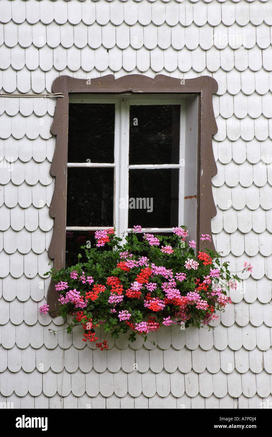 Old window with flowers at a house covered with white wooden shingles ...