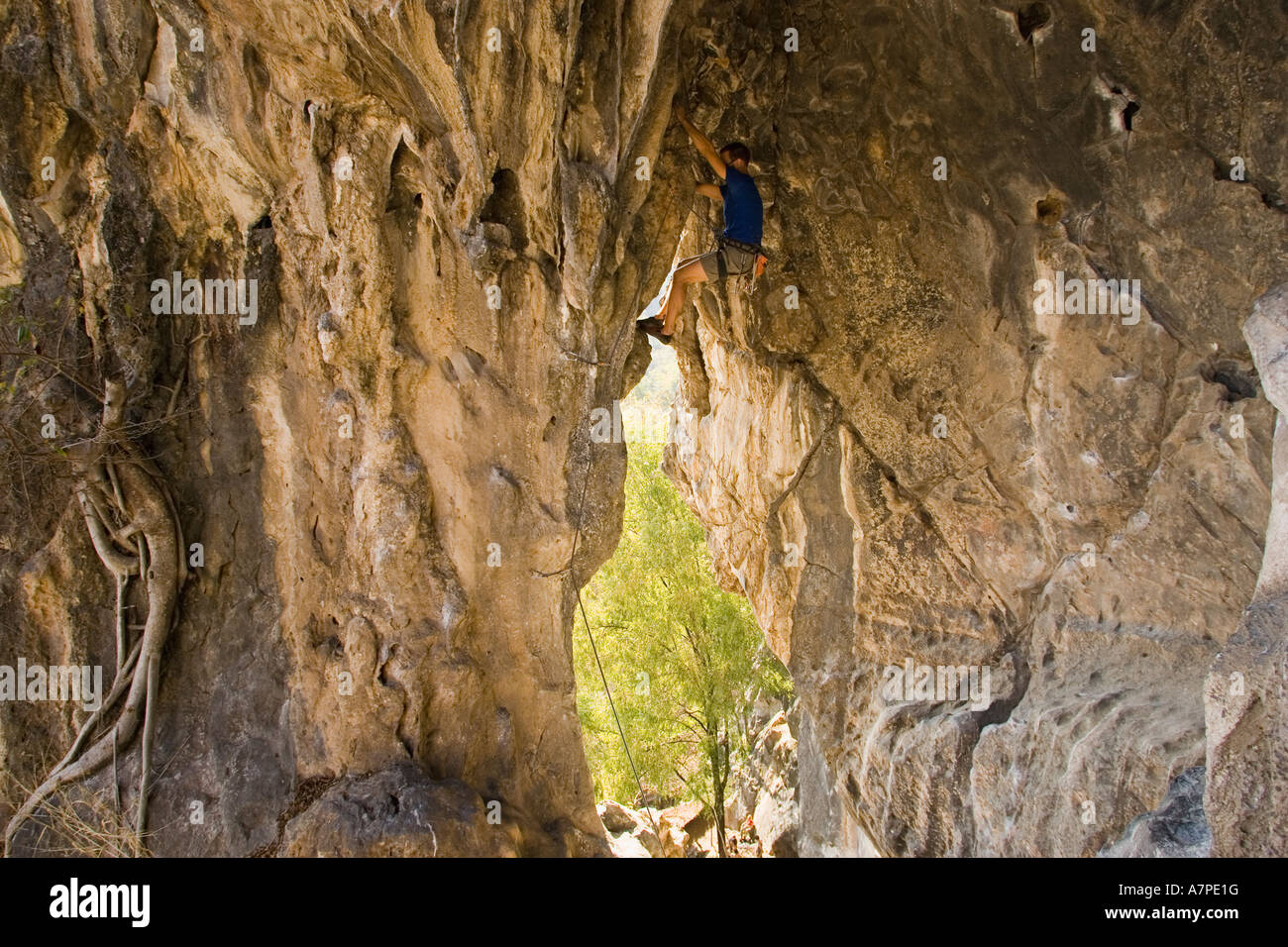 Climbing on limestone stalactites and tufa at Crazy Horse climbing crag ...