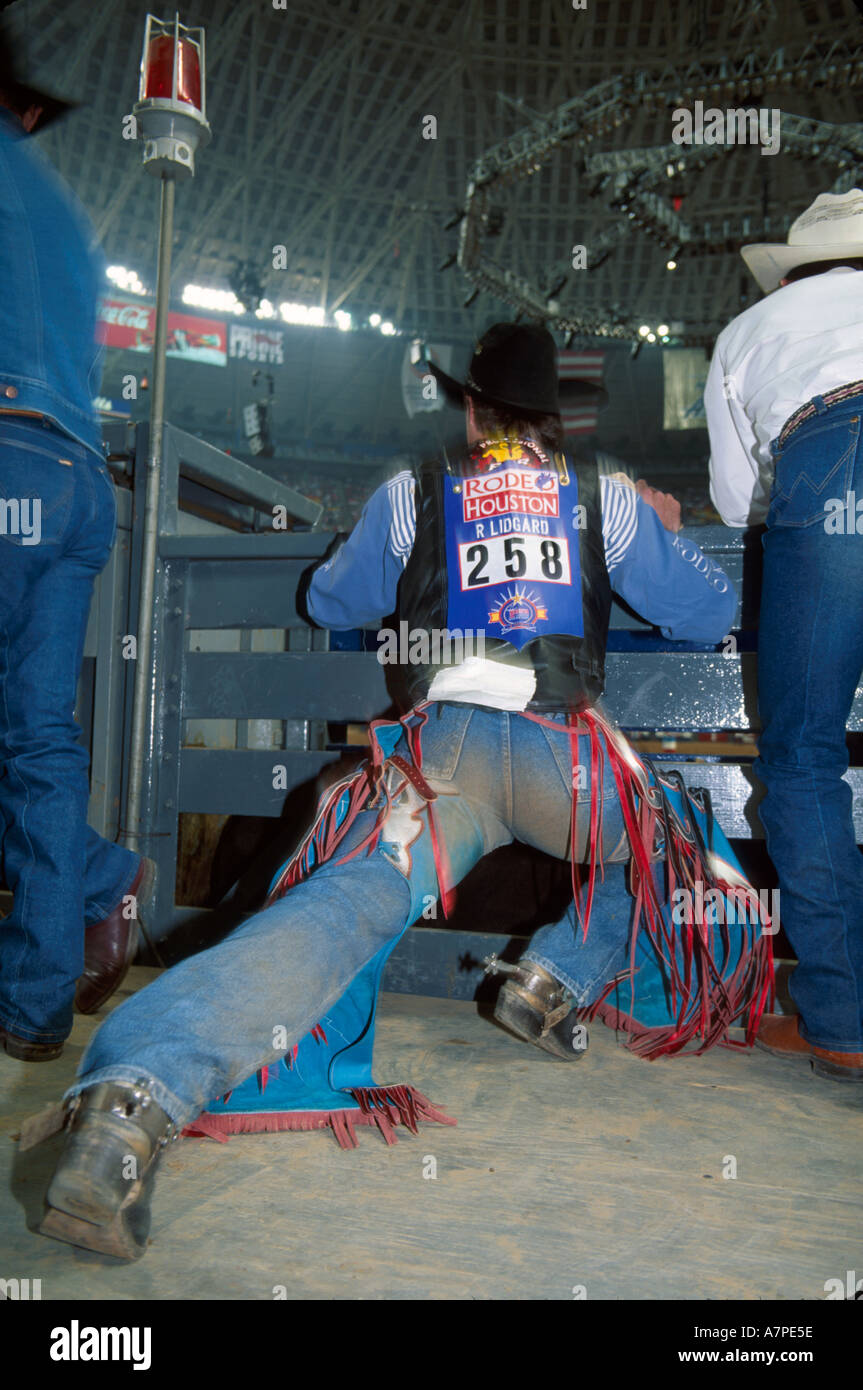 Texas,Lone Star State,The Southwest,Harris County,Houston,Astrodome ...