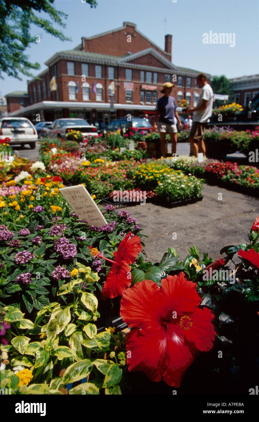 Roanoke city hi-res stock photography and images - Alamy