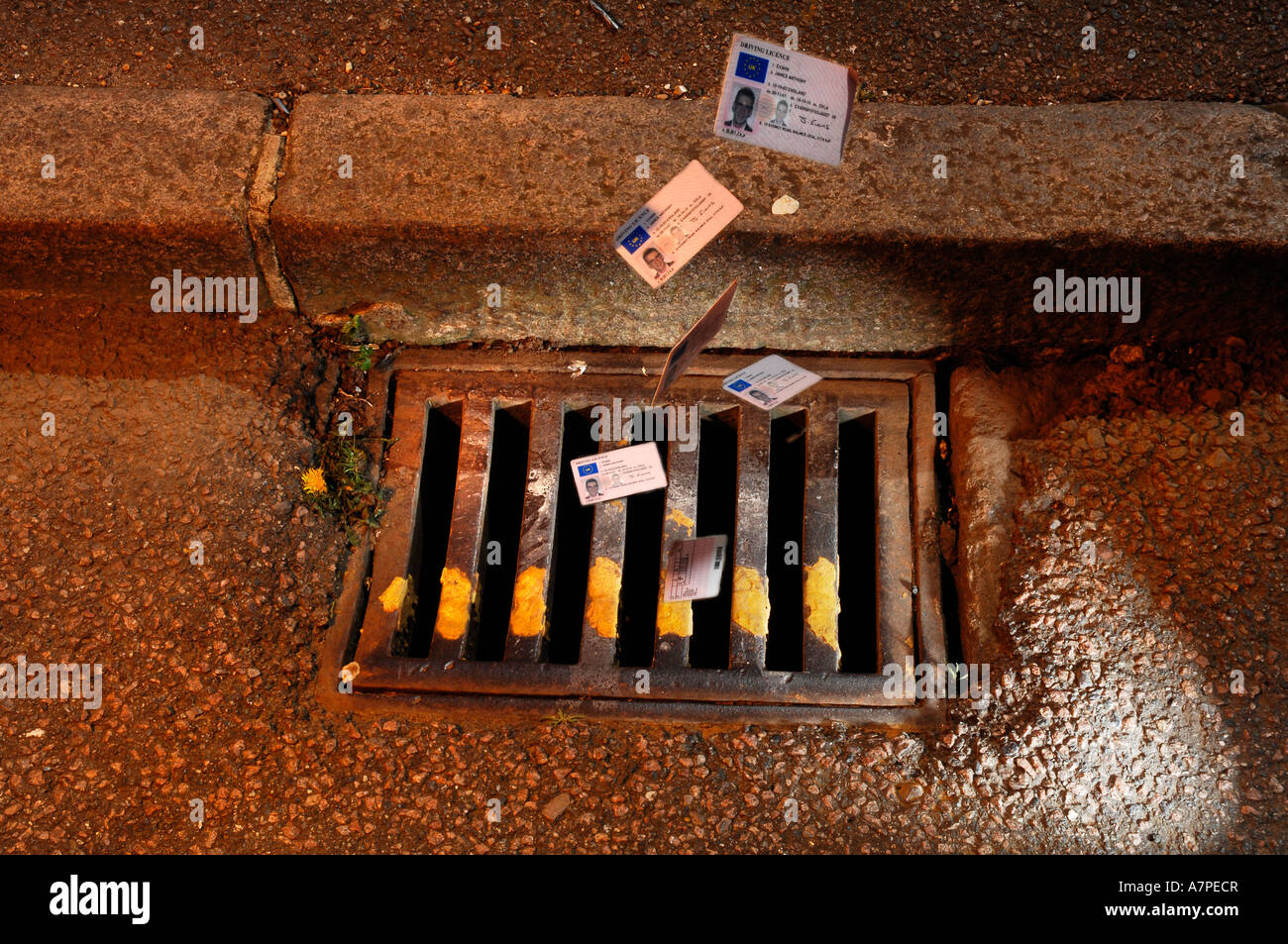 Driving Licences fulling down the drain Stock Photo - Alamy
