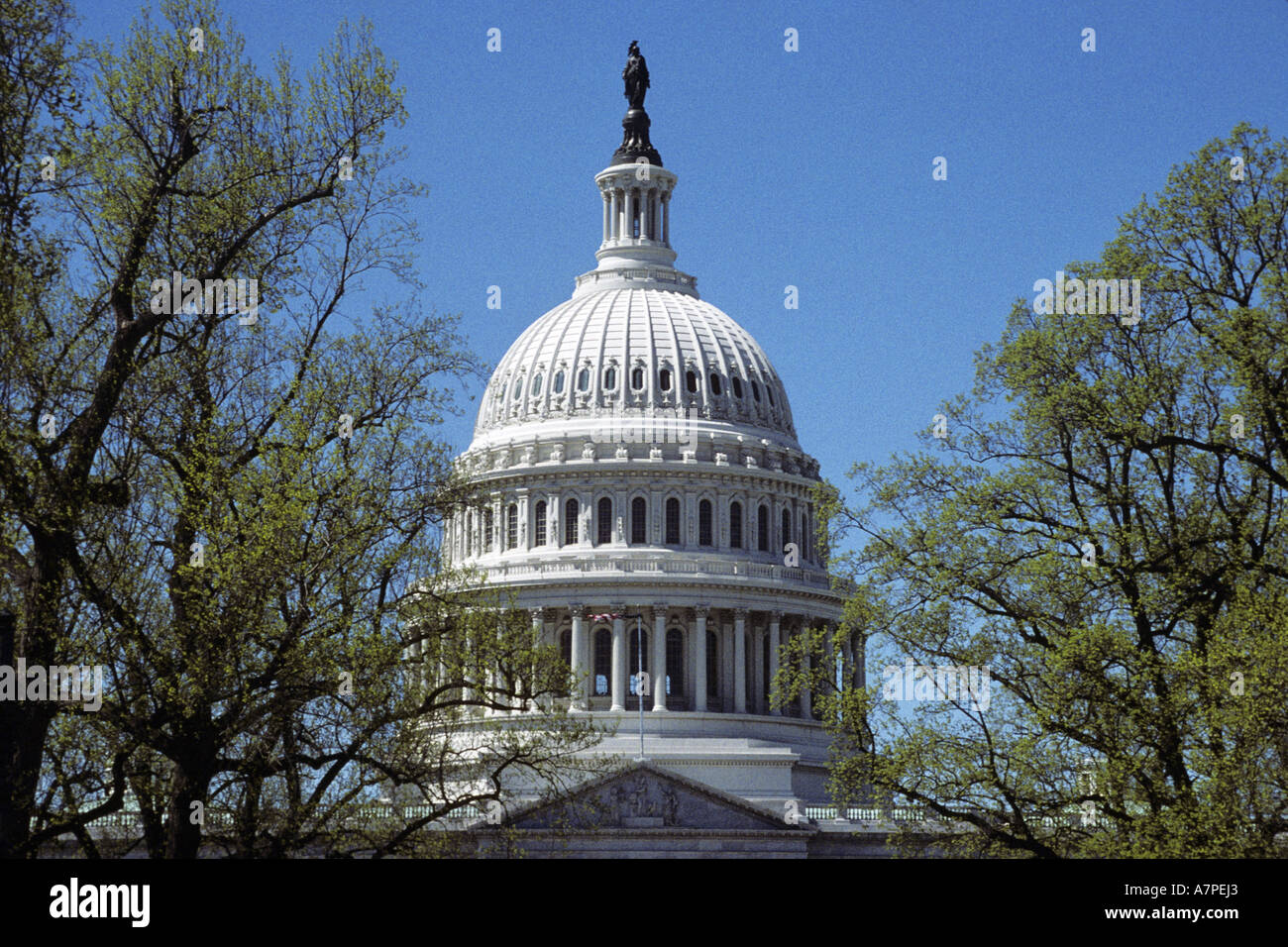 Capitol, USA, Washington Stock Photo - Alamy
