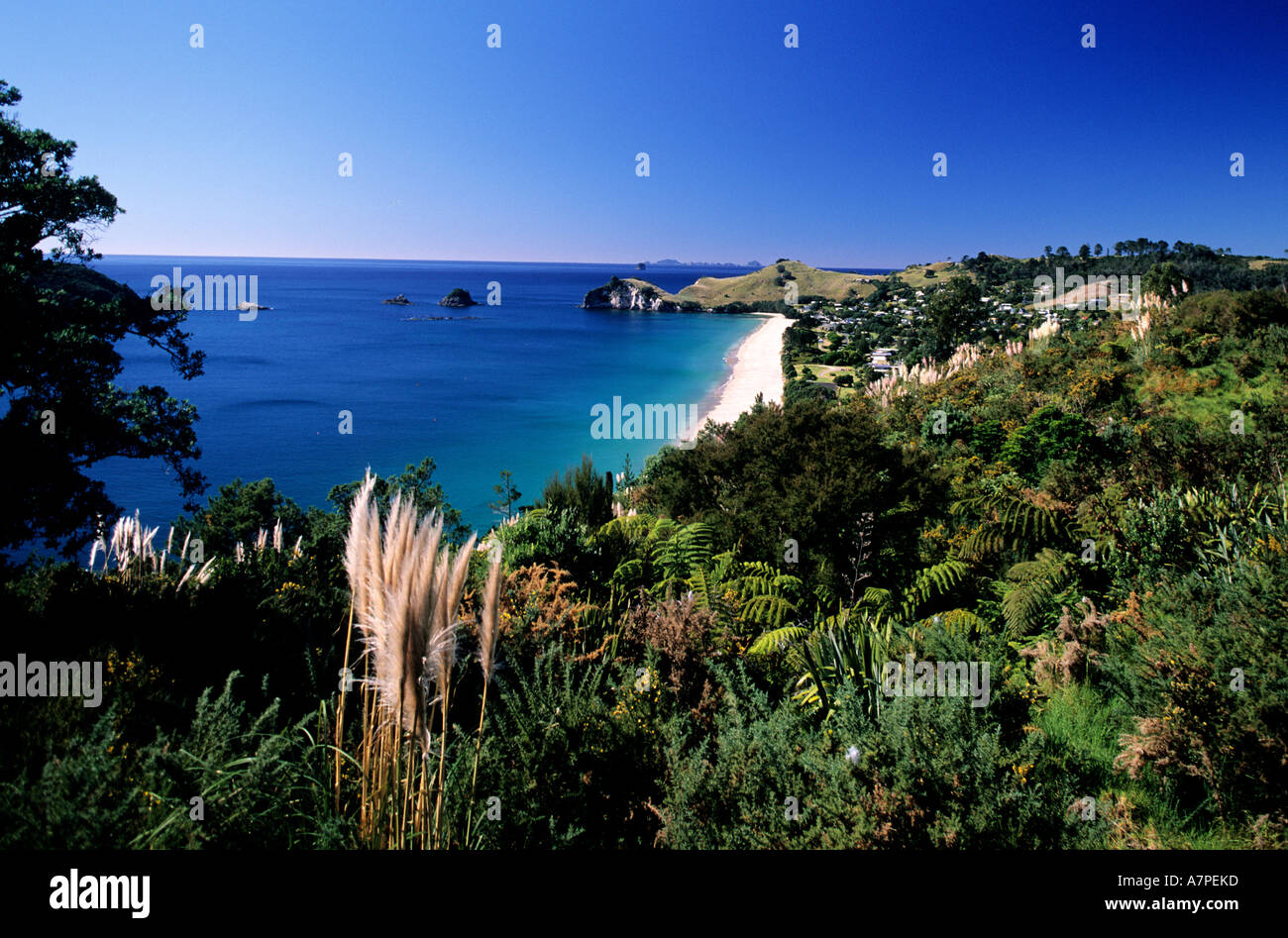 New Zealand, North Island, Corromandel Peninsula, cathedral Cove beach ...