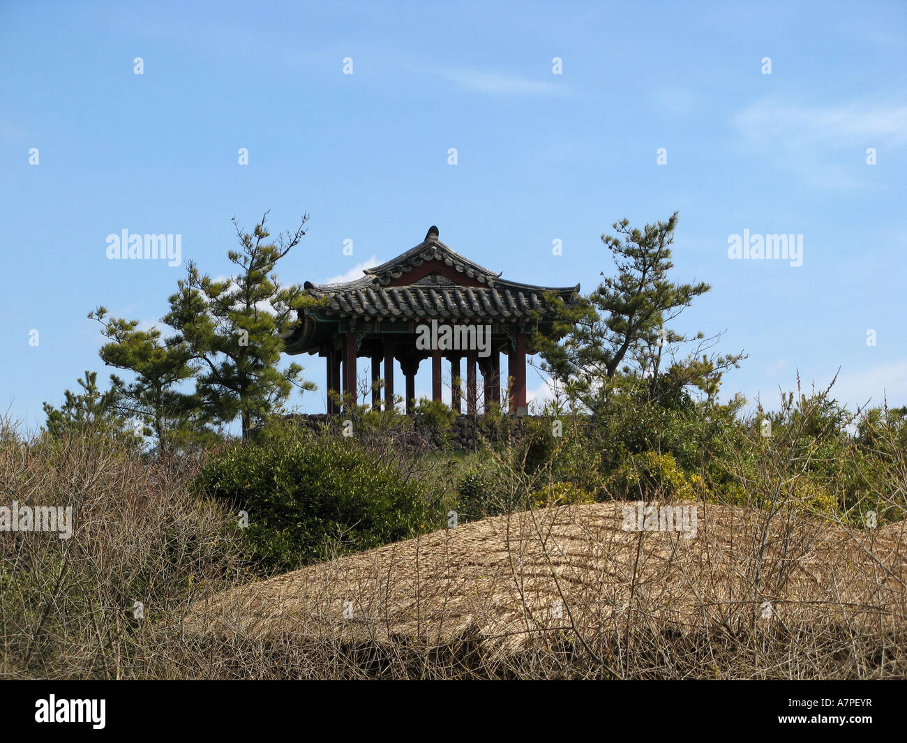 Cheju island hi-res stock photography and images - Alamy