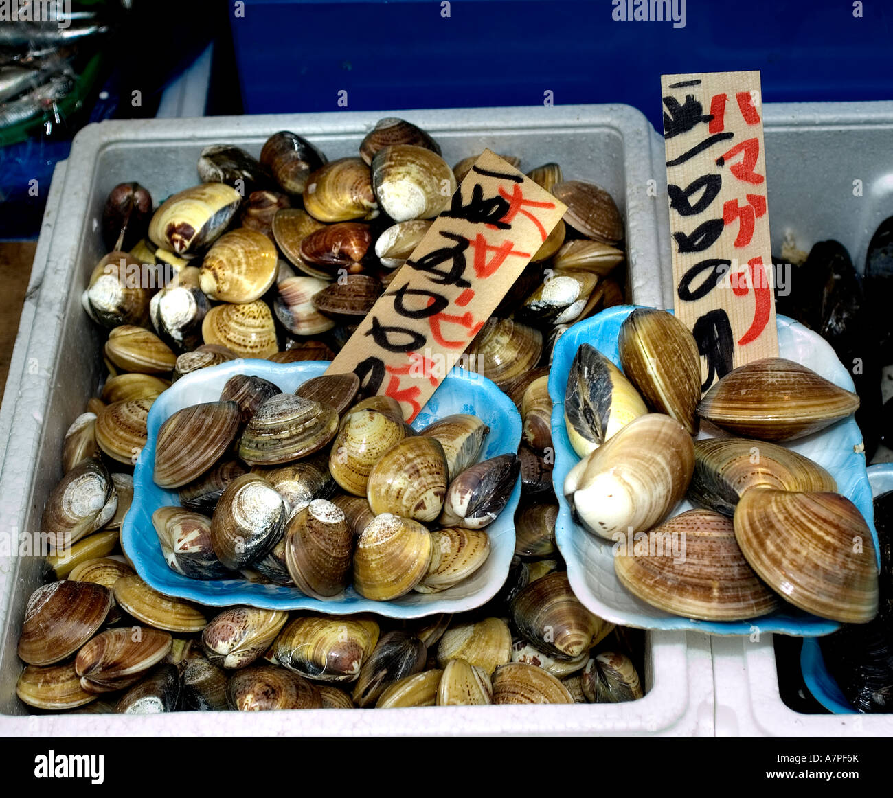 Tokyo Japan Tsukiji fish market is the biggest wholesale fish and ...