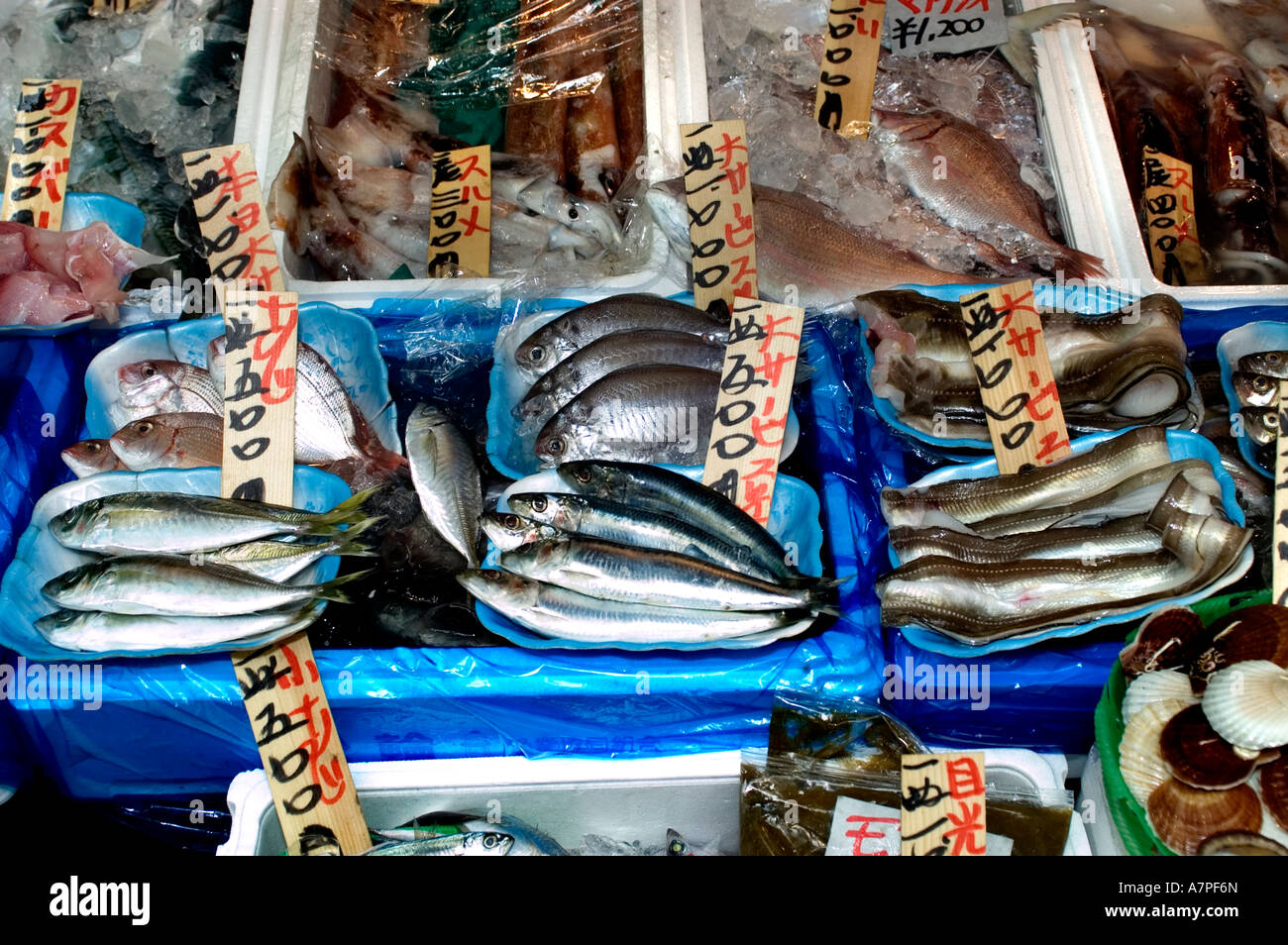 Tokyo Japan Tsukiji fish market is the biggest wholesale fish and ...