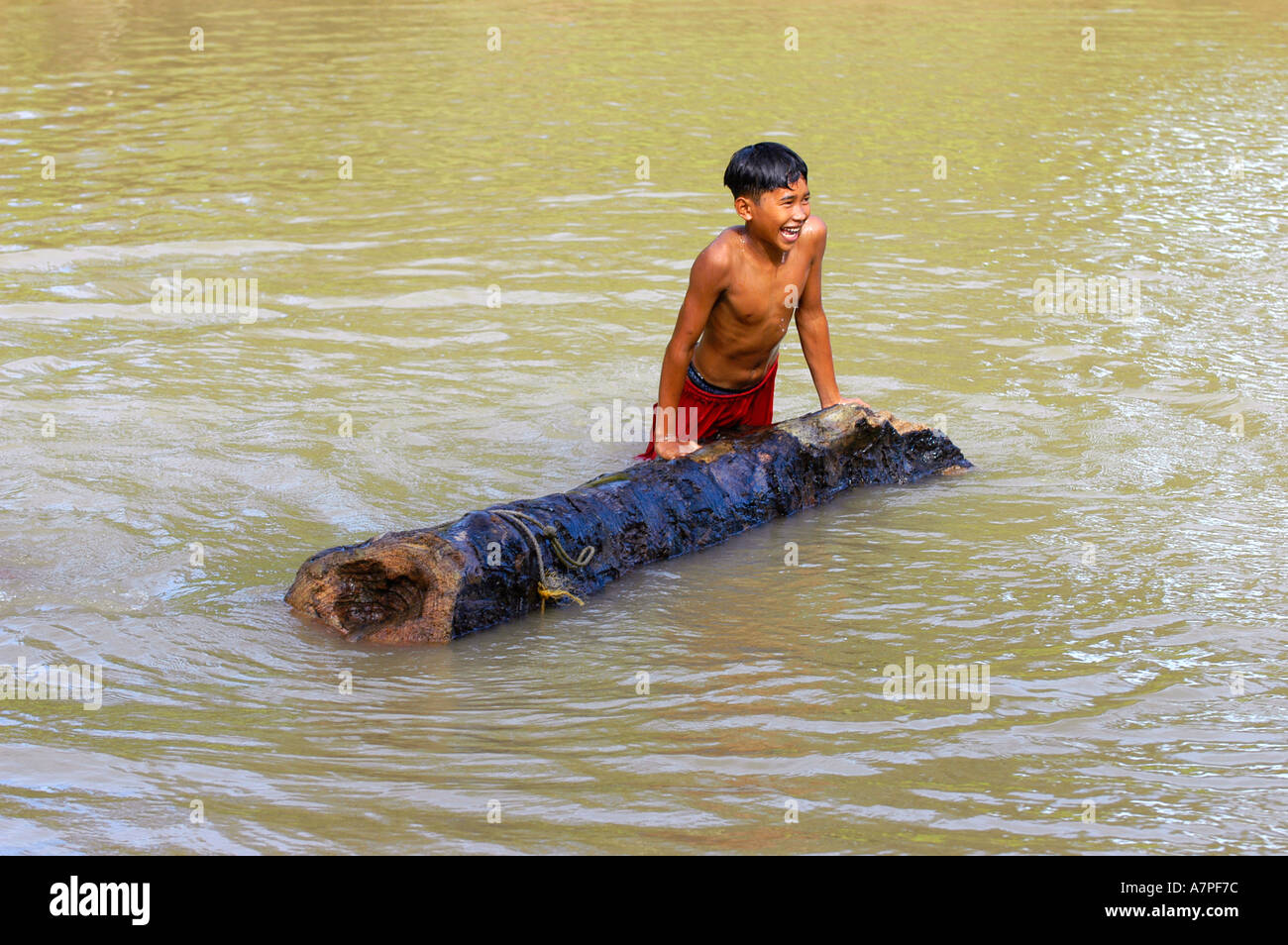 Boy leaning on floating tree trunk in Bohol Stock Photo - Alamy