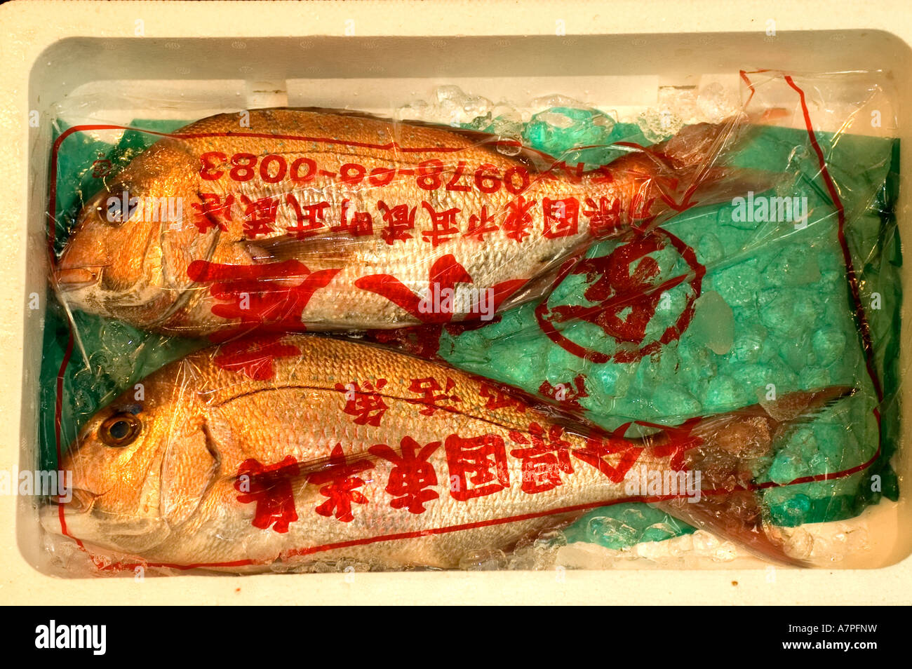 Tsukiji Fish Market Sushi High Resolution Stock Photography and Images ...