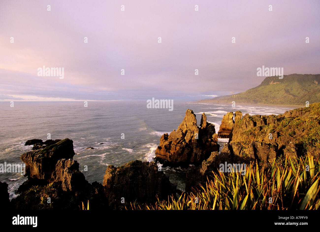 New Zealand, South Island, rock formation of Punakaiki or Pancake rocks ...