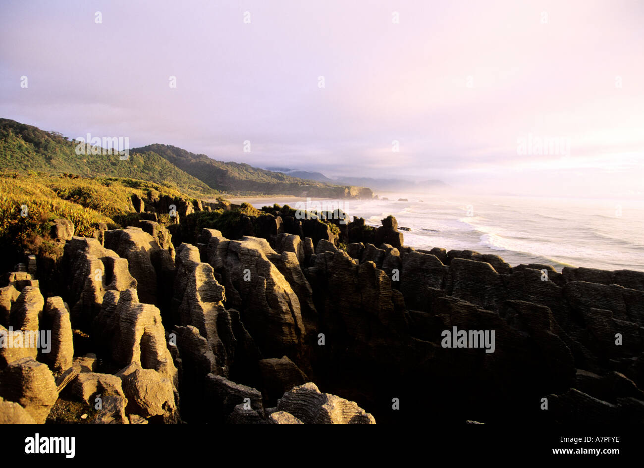New Zealand, South Island, rock formation of Punakaiki or Pancake rocks ...