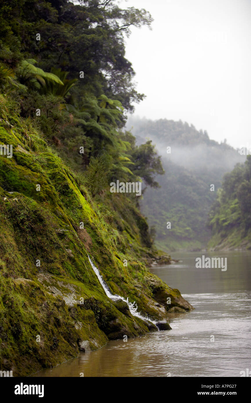 Whanganui River Ruapehu District New Zealand Stock Photo - Alamy