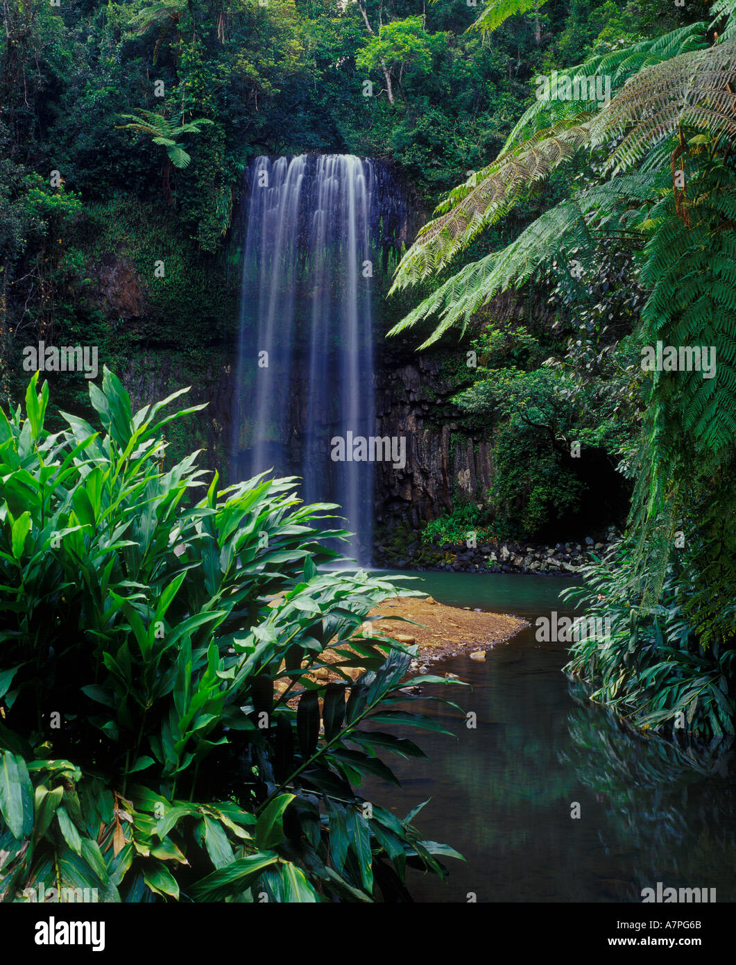 Waterfall tablelands Queensland Australia Stock Photo - Alamy