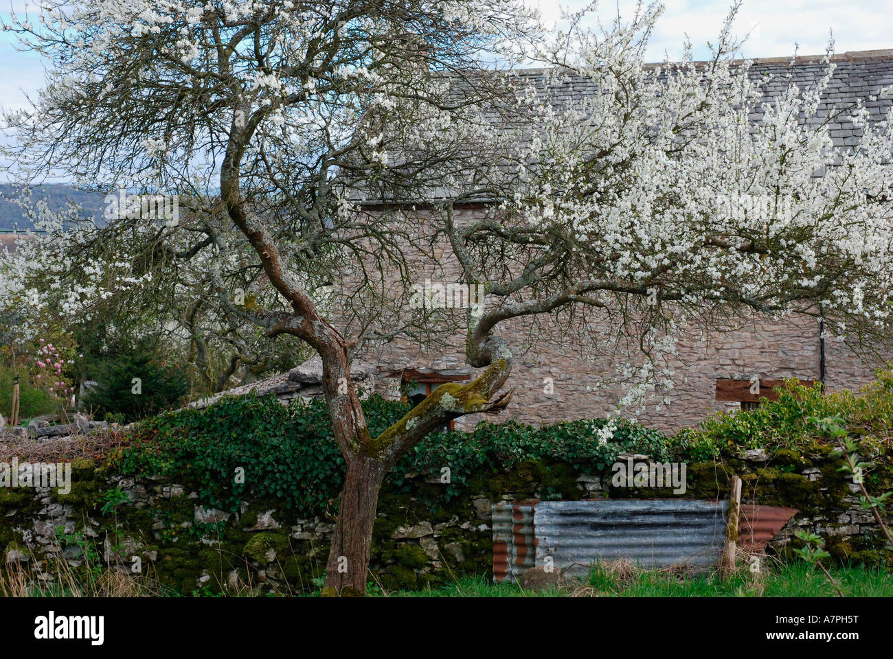 Lyth hi-res stock photography and images - Alamy