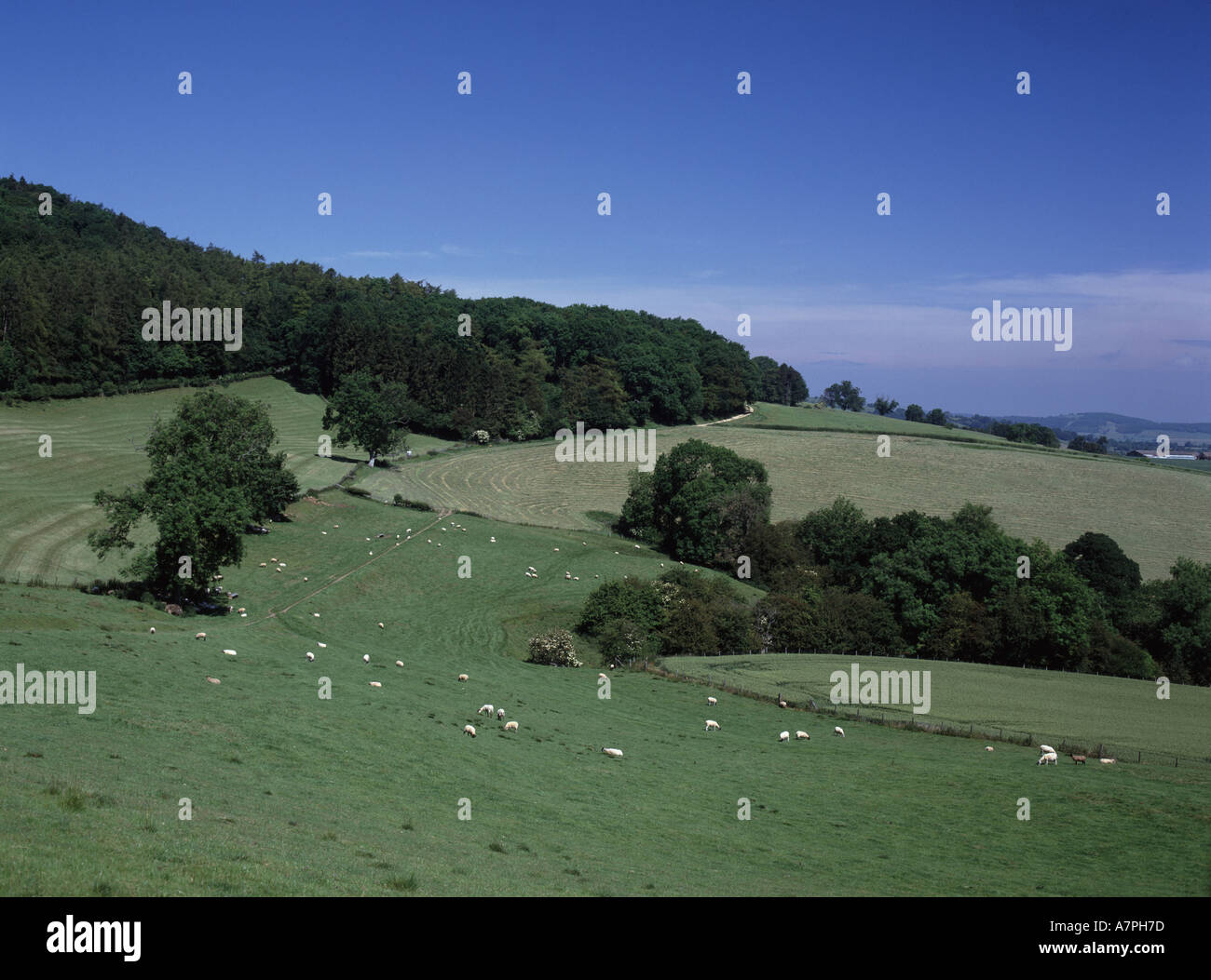 A cotswold valley near Winchombe Stock Photo - Alamy