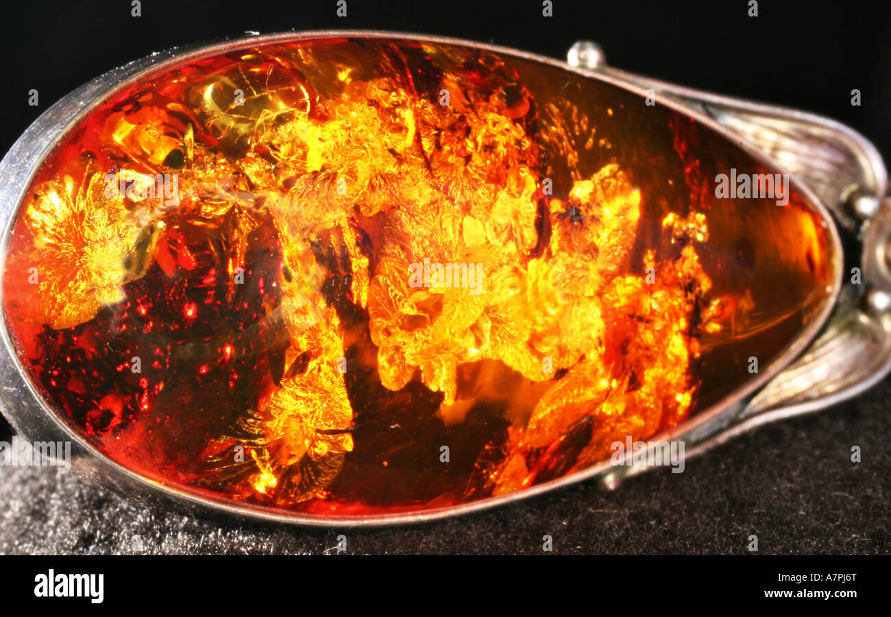 Close up picture of large piece of Baltic Amber set in a silver mount ...