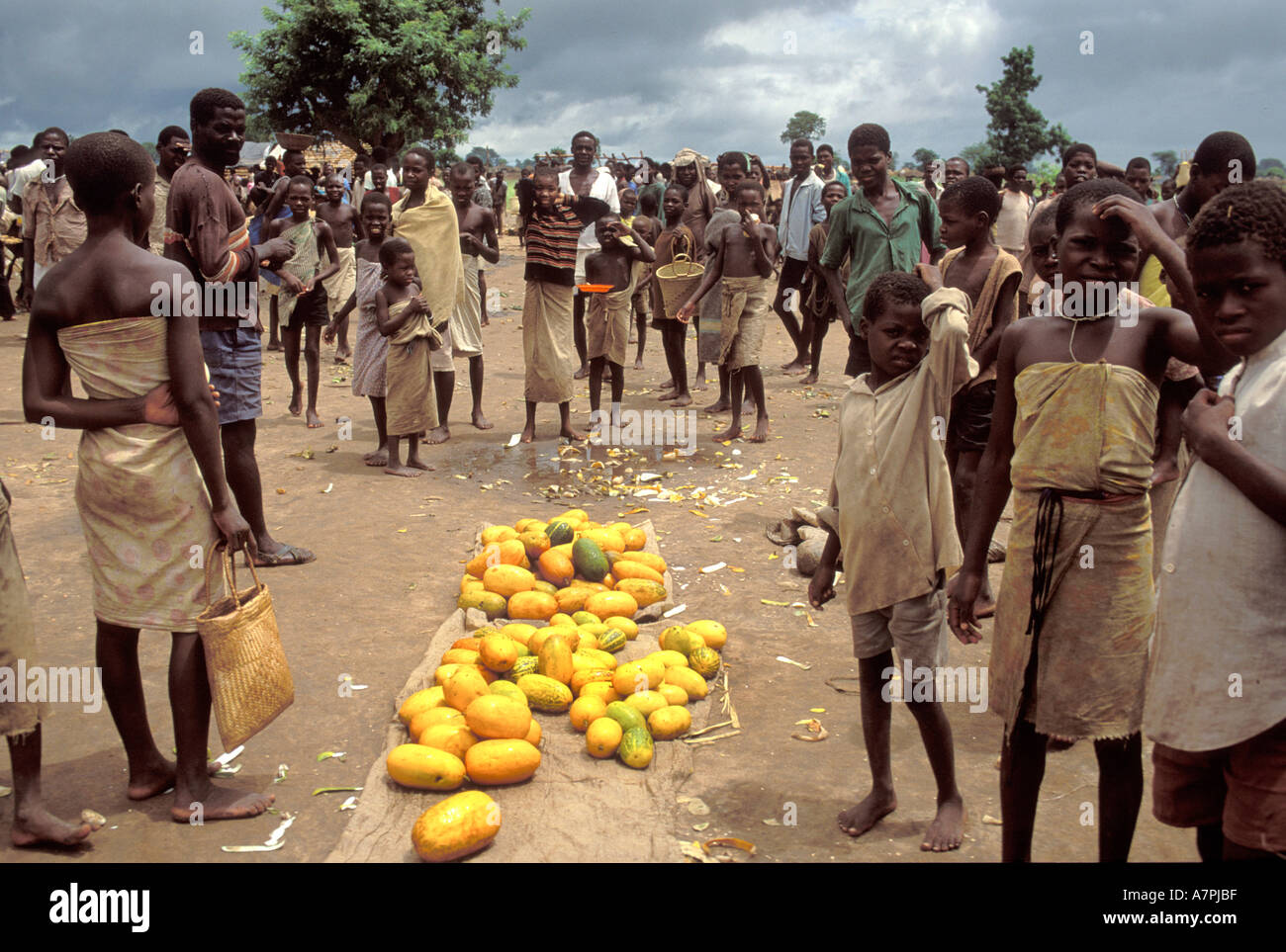 African selling maize hi-res stock photography and images - Alamy