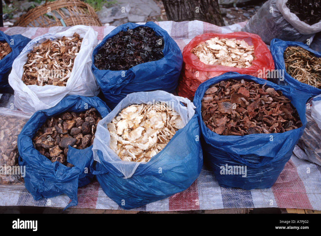 Sales booth for mushrooms hi-res stock photography and images - Alamy