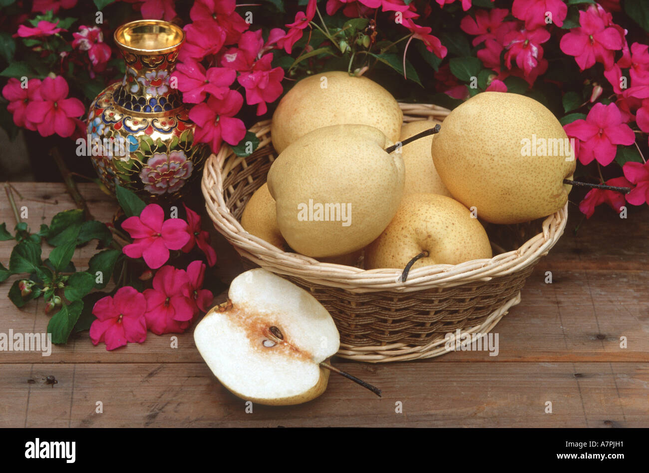 Shinseiki Asian pear, Asian pear (Pyrus pyrifolia), in a basket on the ...