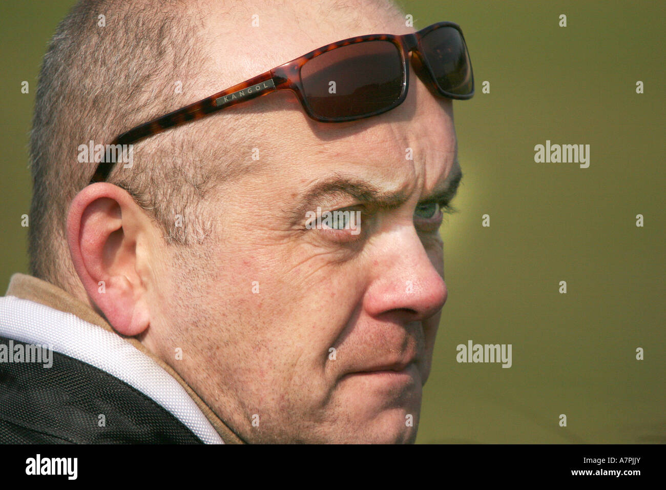 Head shot of man with sun glasses on forehead Stock Photo - Alamy