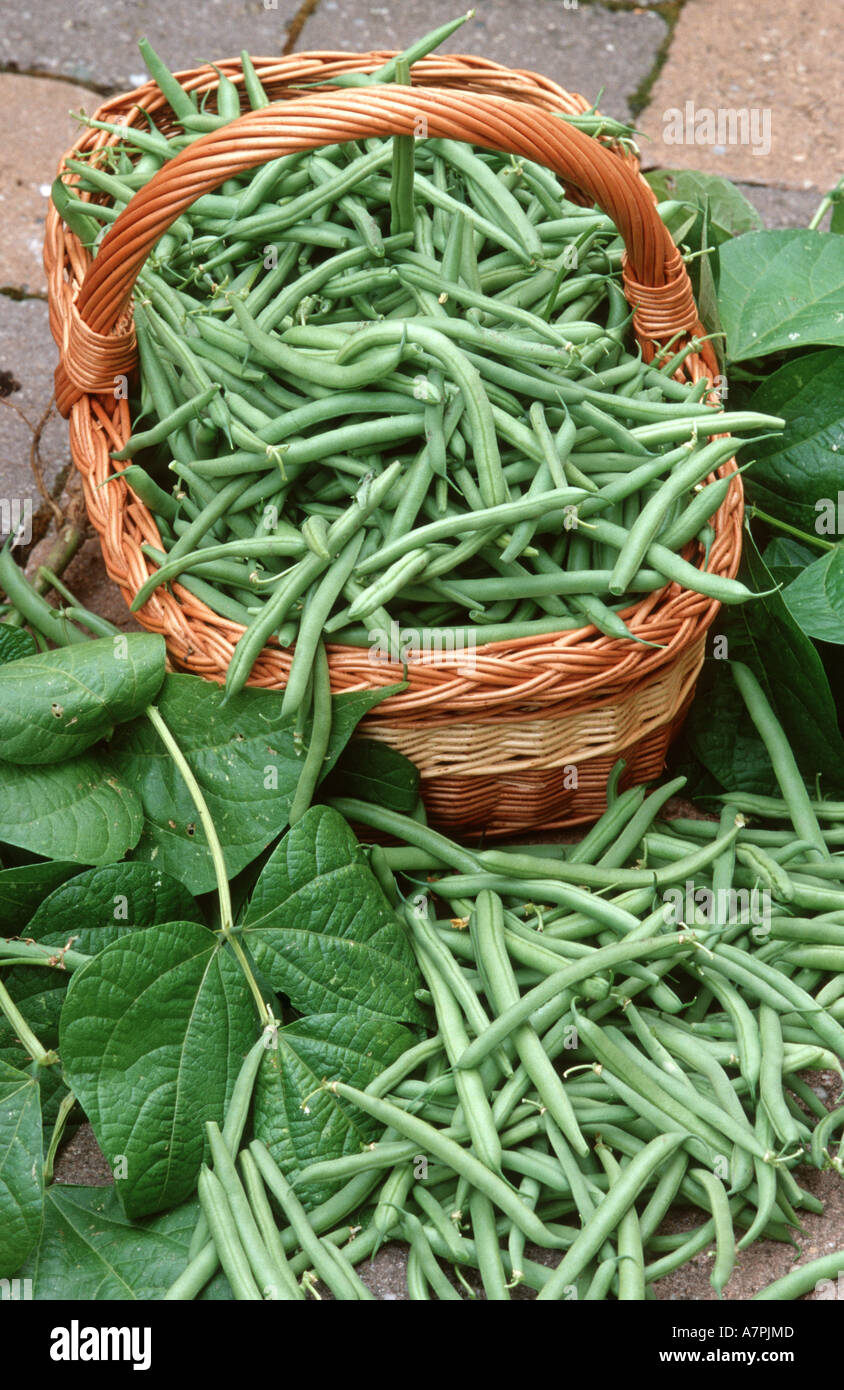 Diverse german army hi-res stock photography and images - Alamy