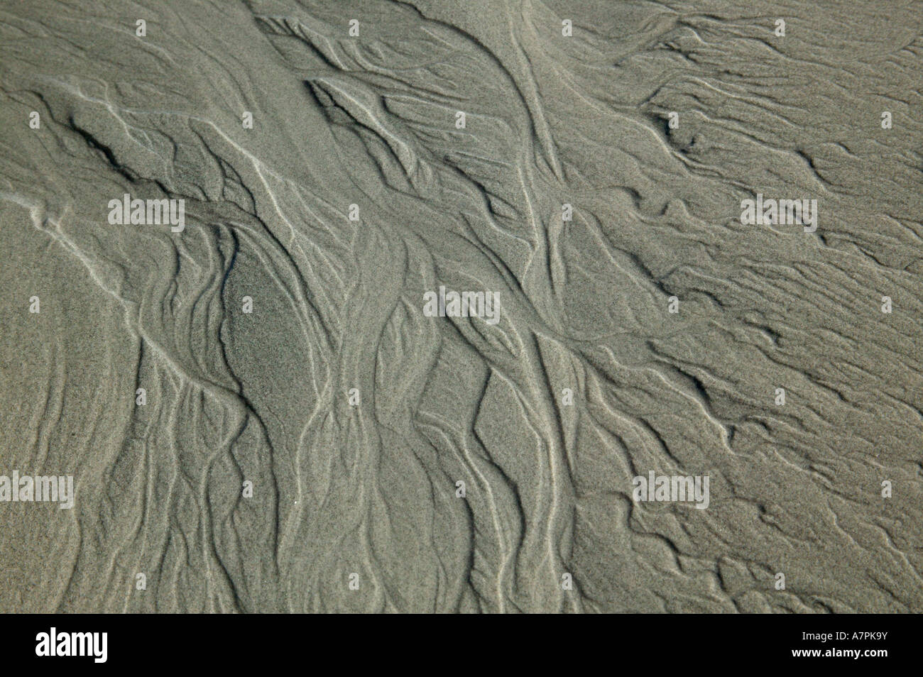Ripples in beach sand left by receding waves Port Nolloth Northern Cape ...