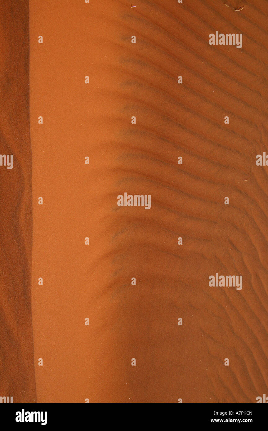 Ripples and patterns in a wind blown sand dune Namibrand Nature Reserve ...