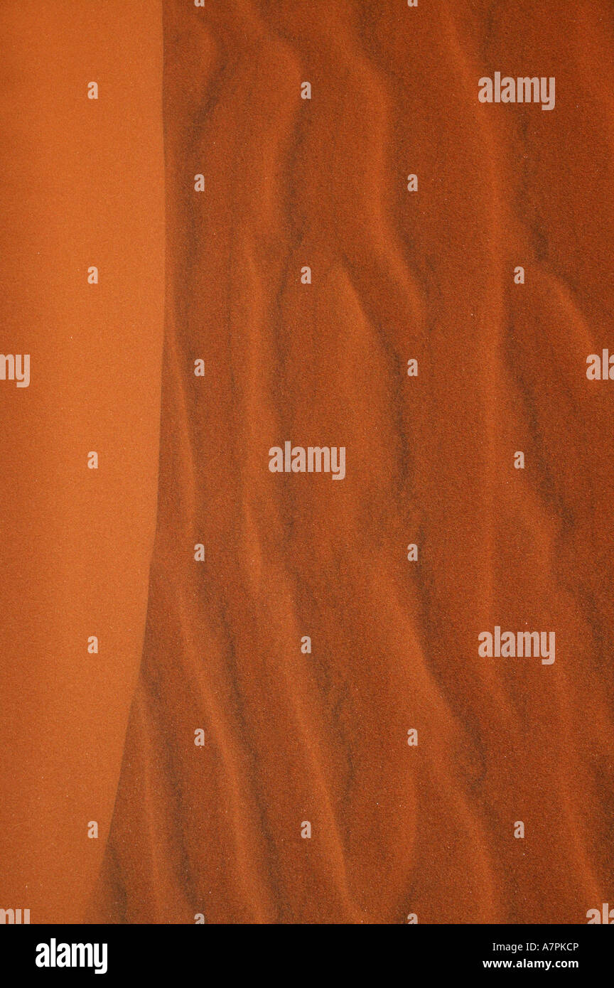 Ripples and patterns in a wind blown sand dune Namibrand Nature Reserve ...