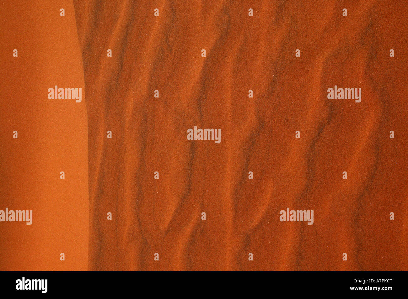 Ripples and patterns in a wind blown sand dune Namibrand Nature Reserve ...
