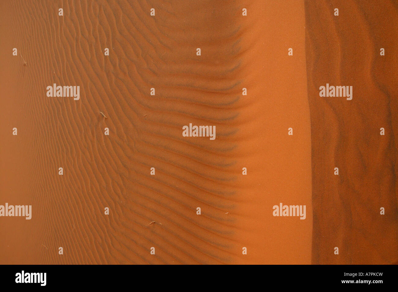 Ripples and patterns in a wind blown sand dune Namibrand Nature Reserve ...