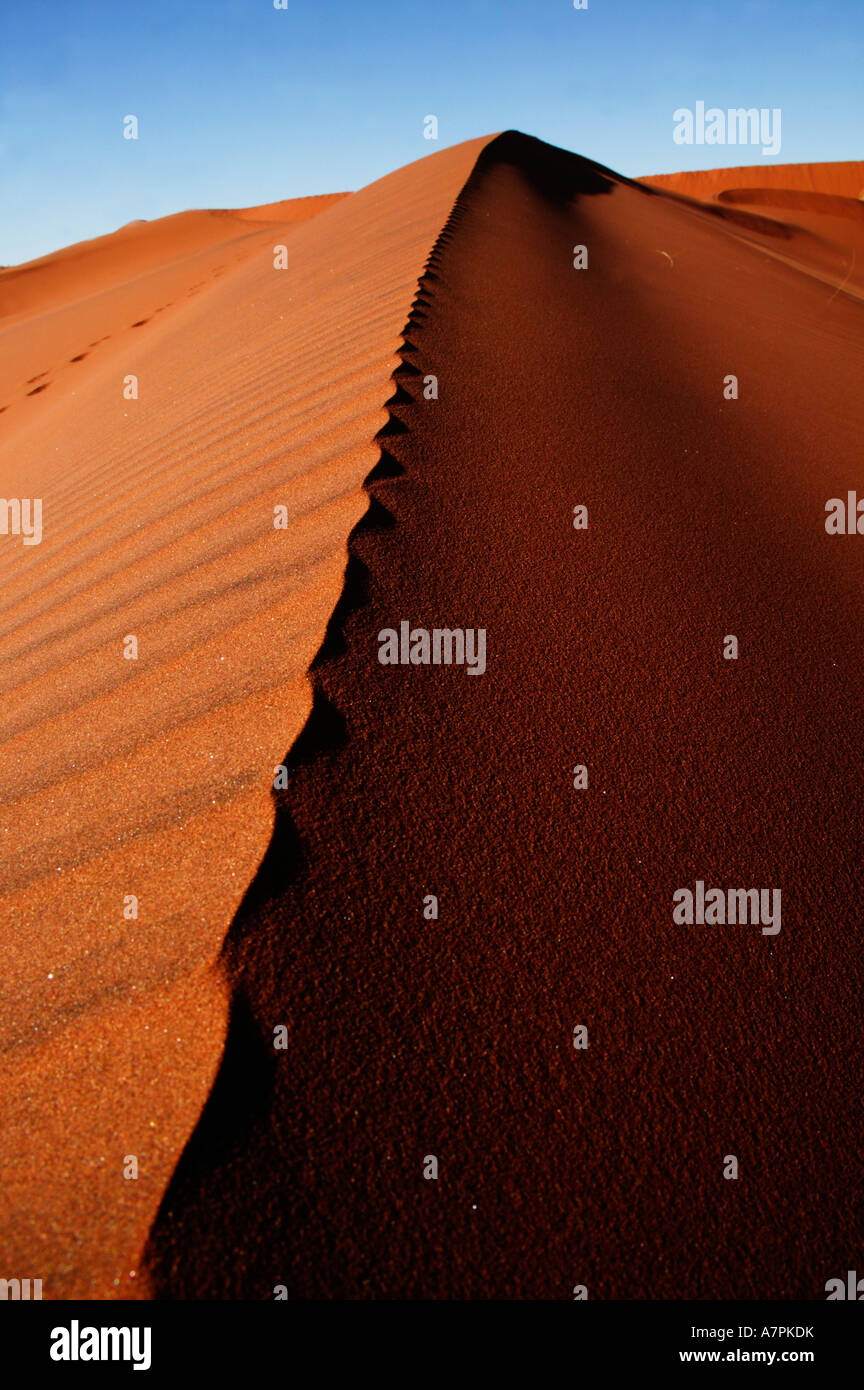 Namib desert sand dune Namibrand Nature Reserve Namibia Stock Photo - Alamy
