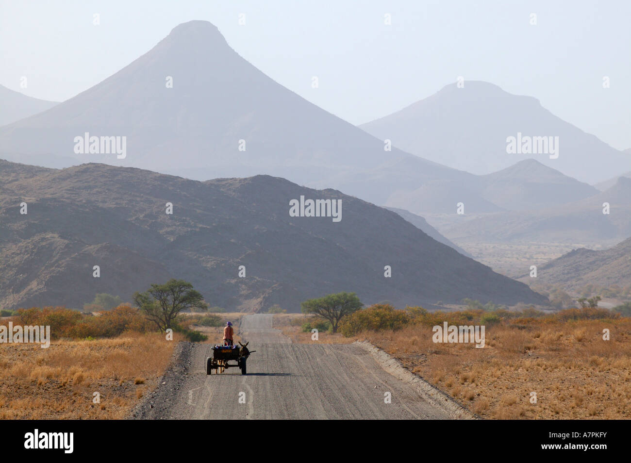 A donkey cart in Damaraland Namibia Stock Photo - Alamy