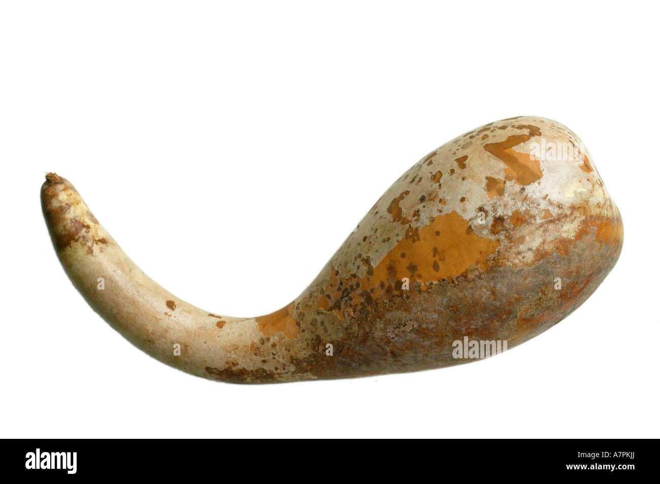 Calabash africa hi-res stock photography and images - Alamy