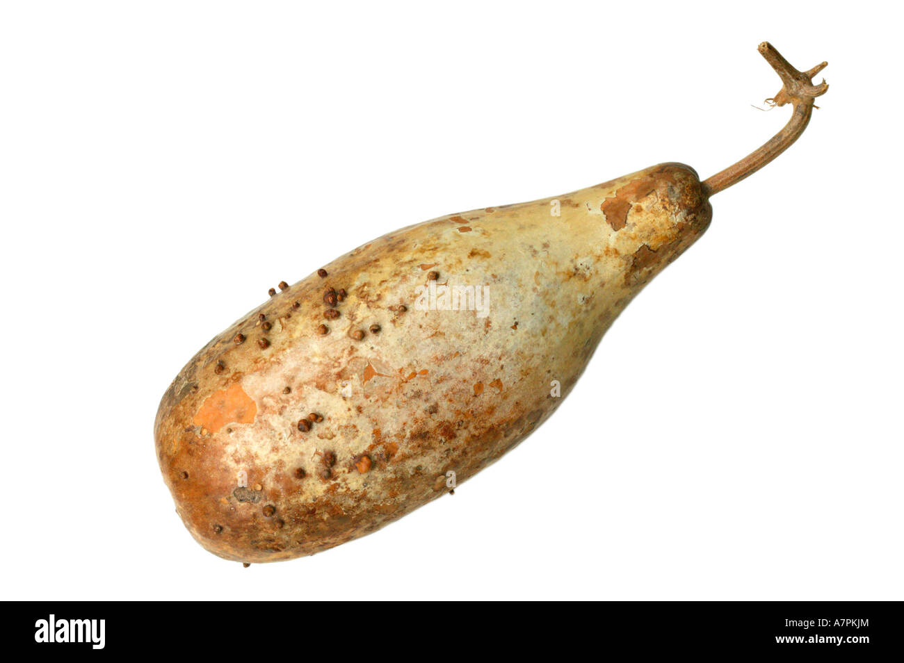 Calabash Sabi Sand Game Reserve Mpumalanga South Africa Stock Photo - Alamy