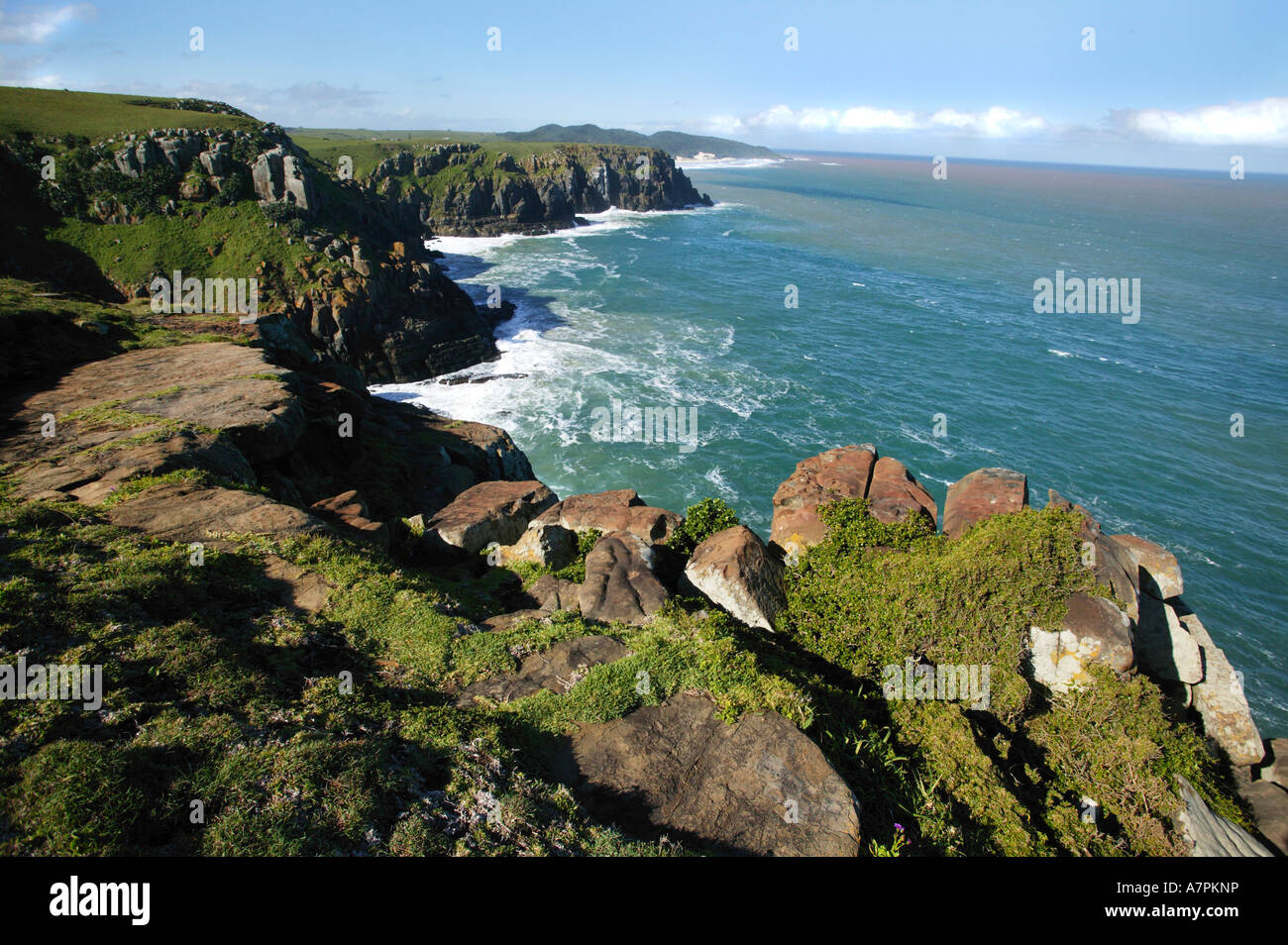 Eastern Cape coastline viewed from Morgan Bay cliffs Morgan Bay Eastern ...
