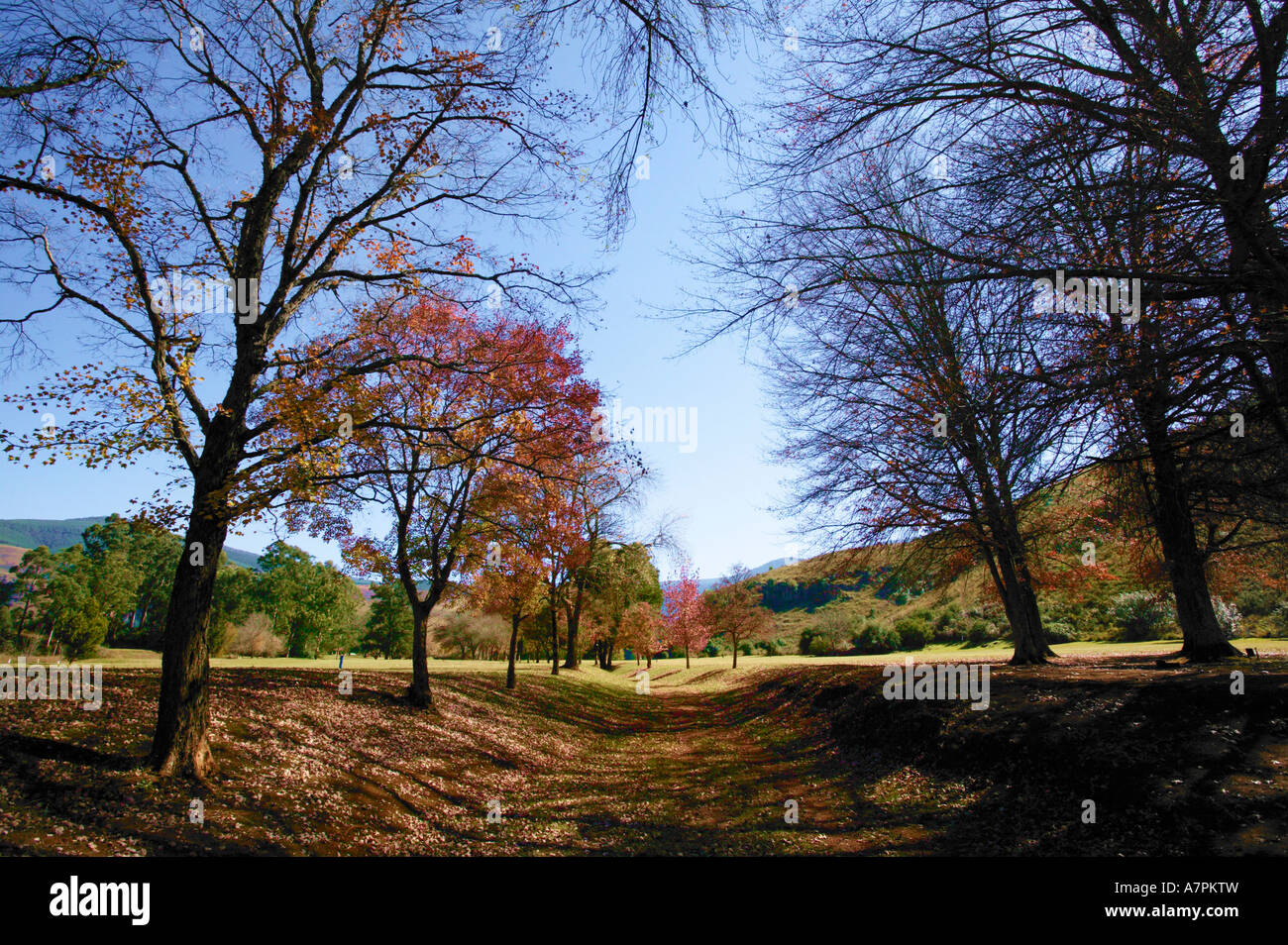 Either hi-res stock photography and images - Alamy