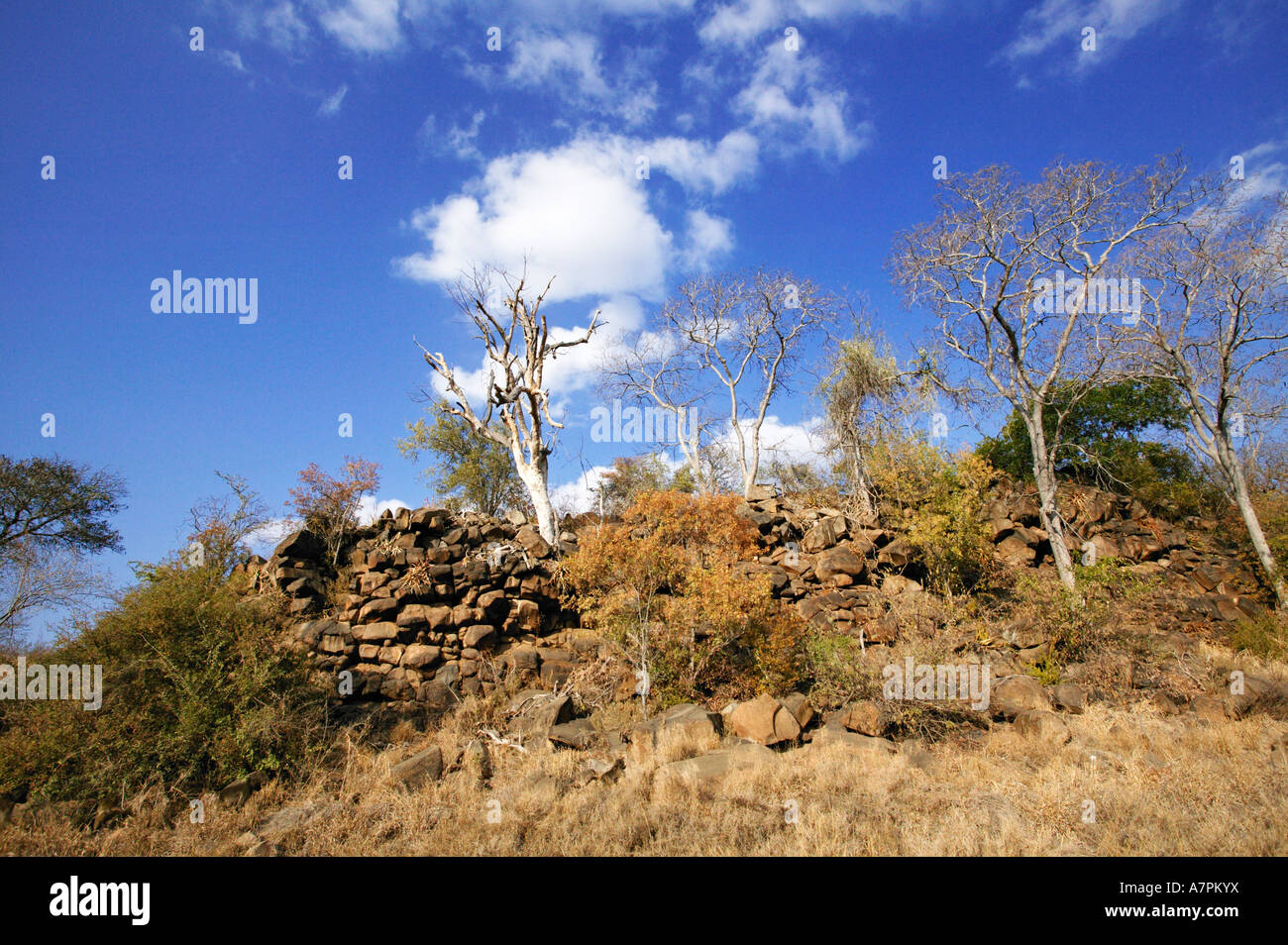A rocky ridge formed by a dolerite dyke with Kirkia sp trees in the ...