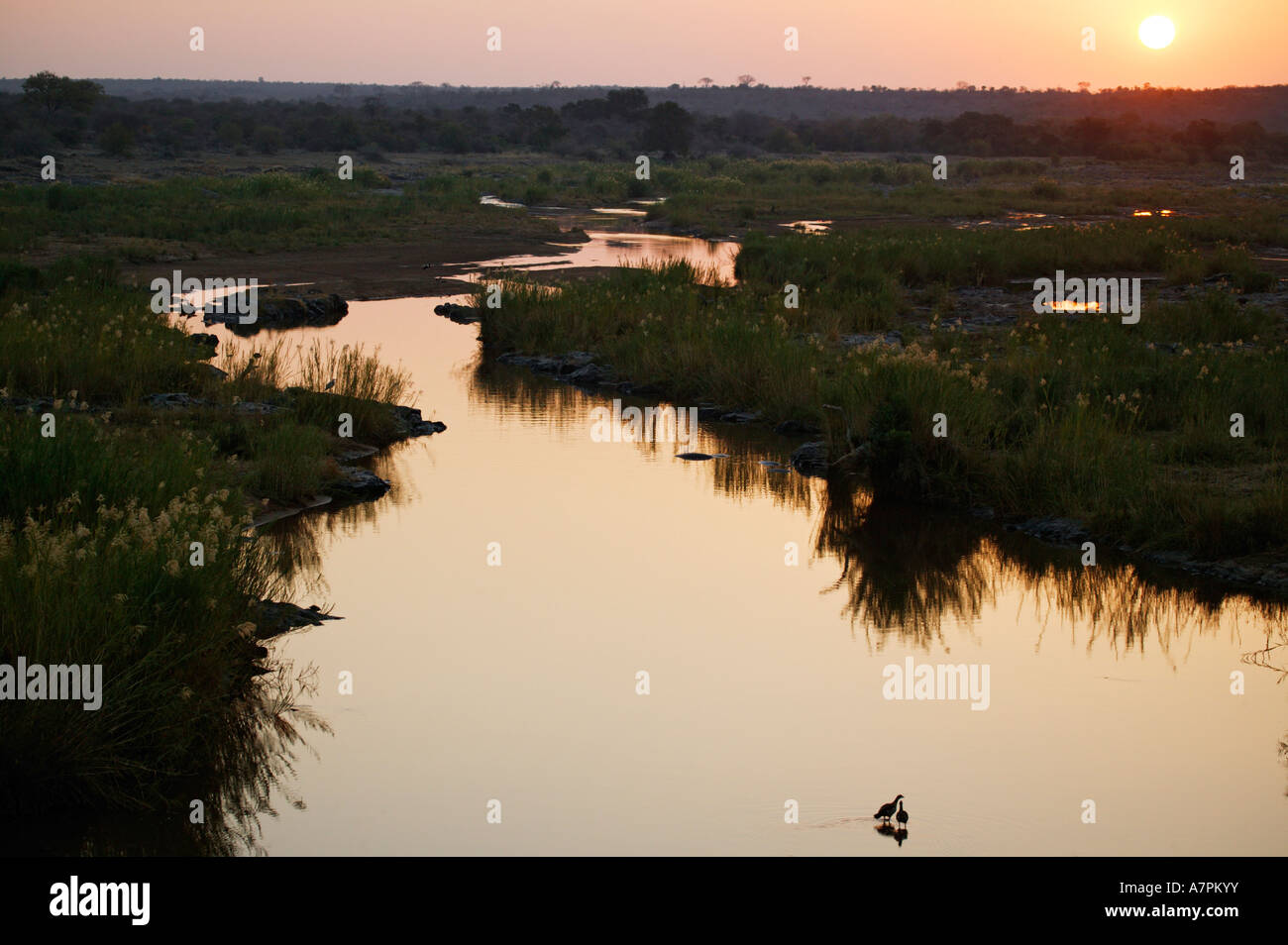 Vegetation limpopo river hi-res stock photography and images - Alamy