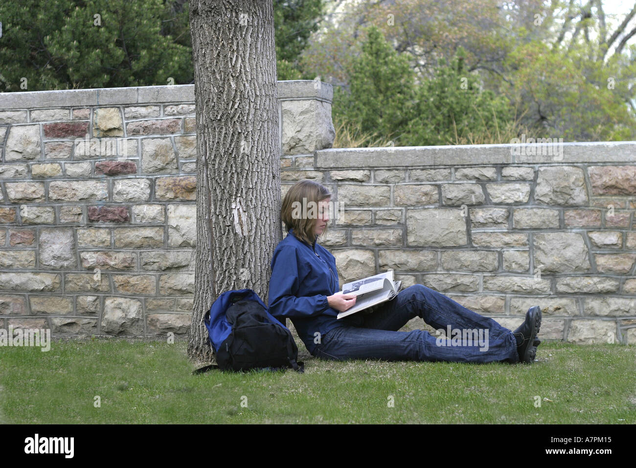 Student studying outside Stock Photo - Alamy