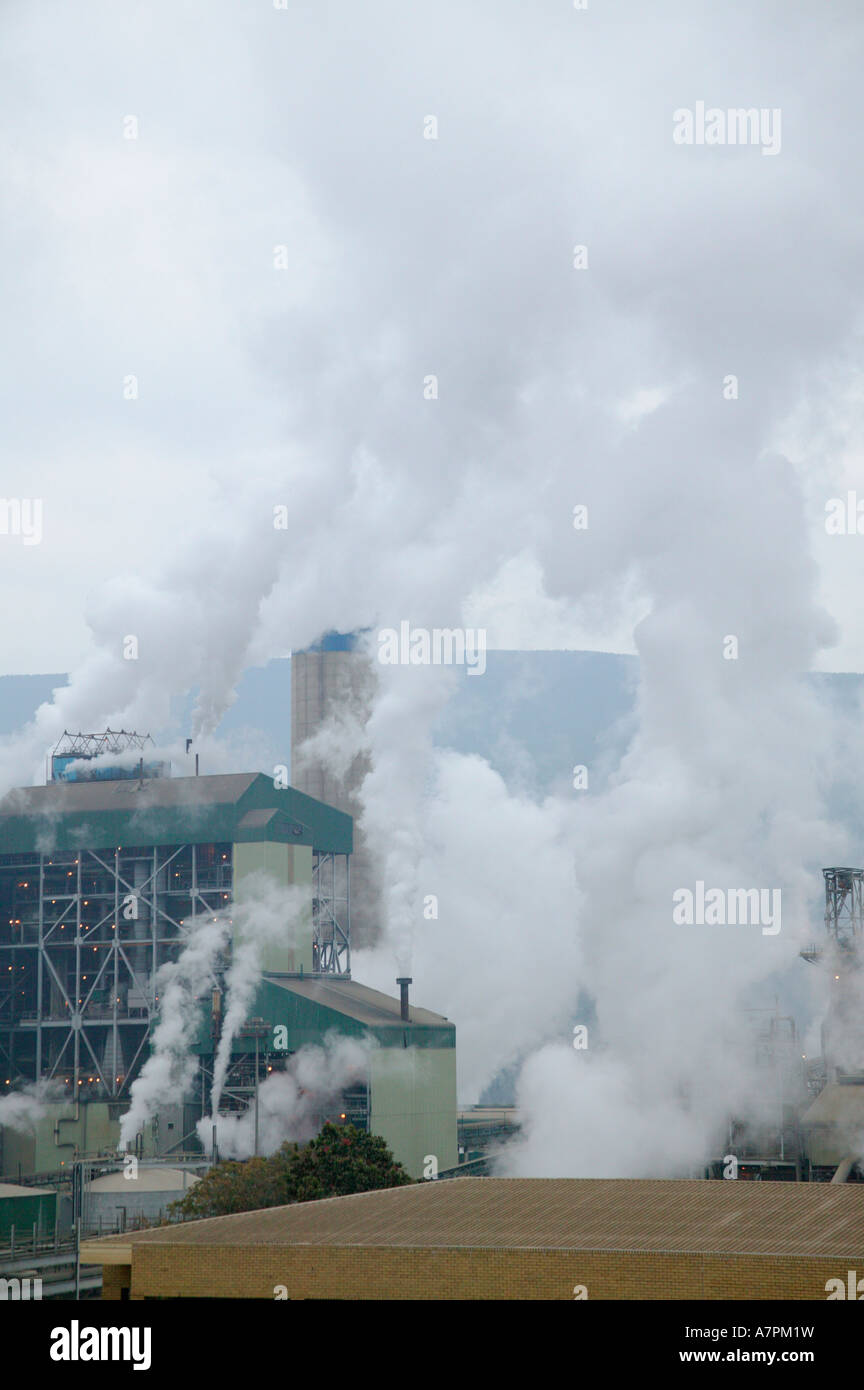 Sappi ngodwana paper mill hi-res stock photography and images - Alamy