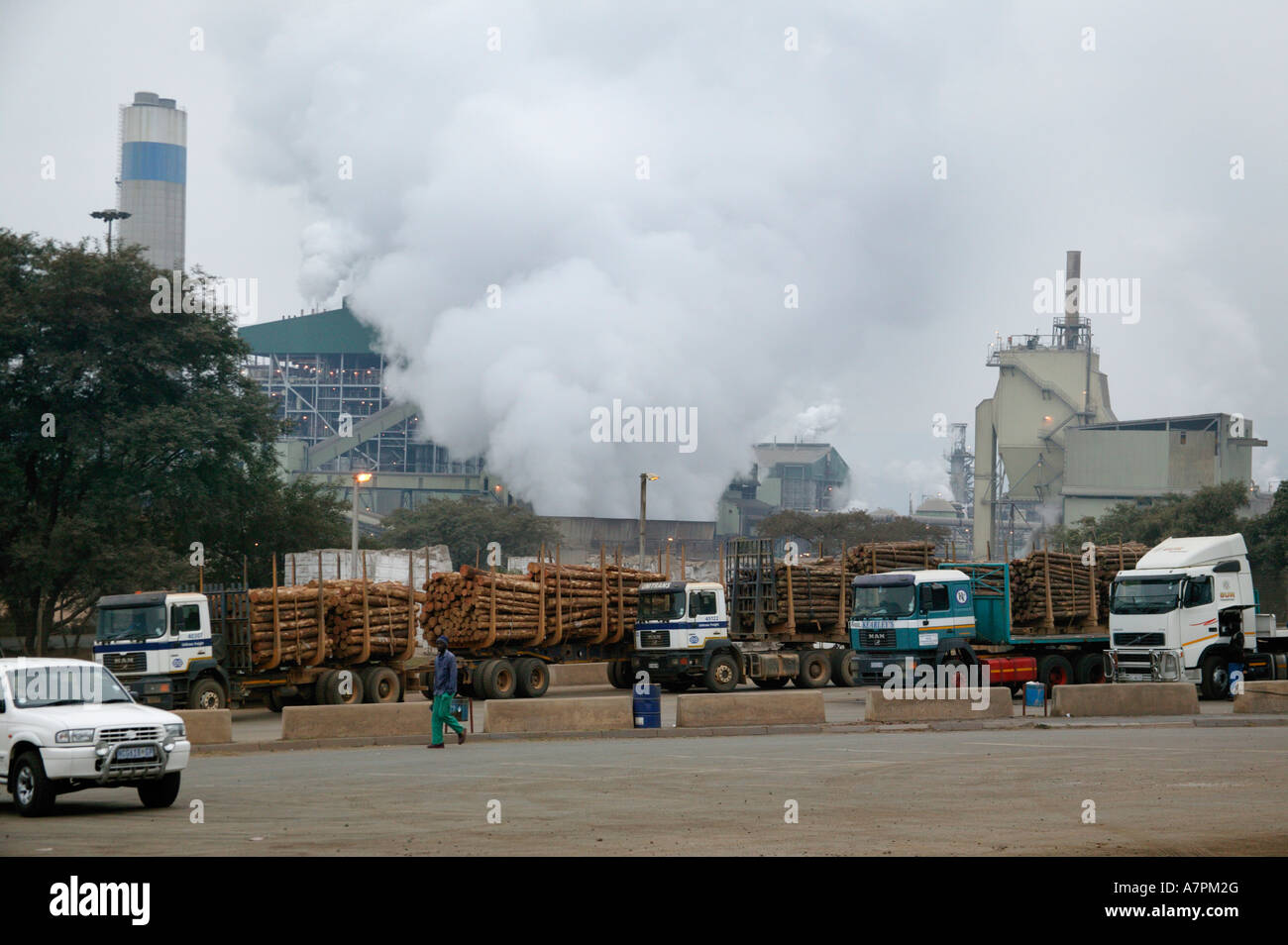 Sappi ngodwana paper mill hi-res stock photography and images - Alamy