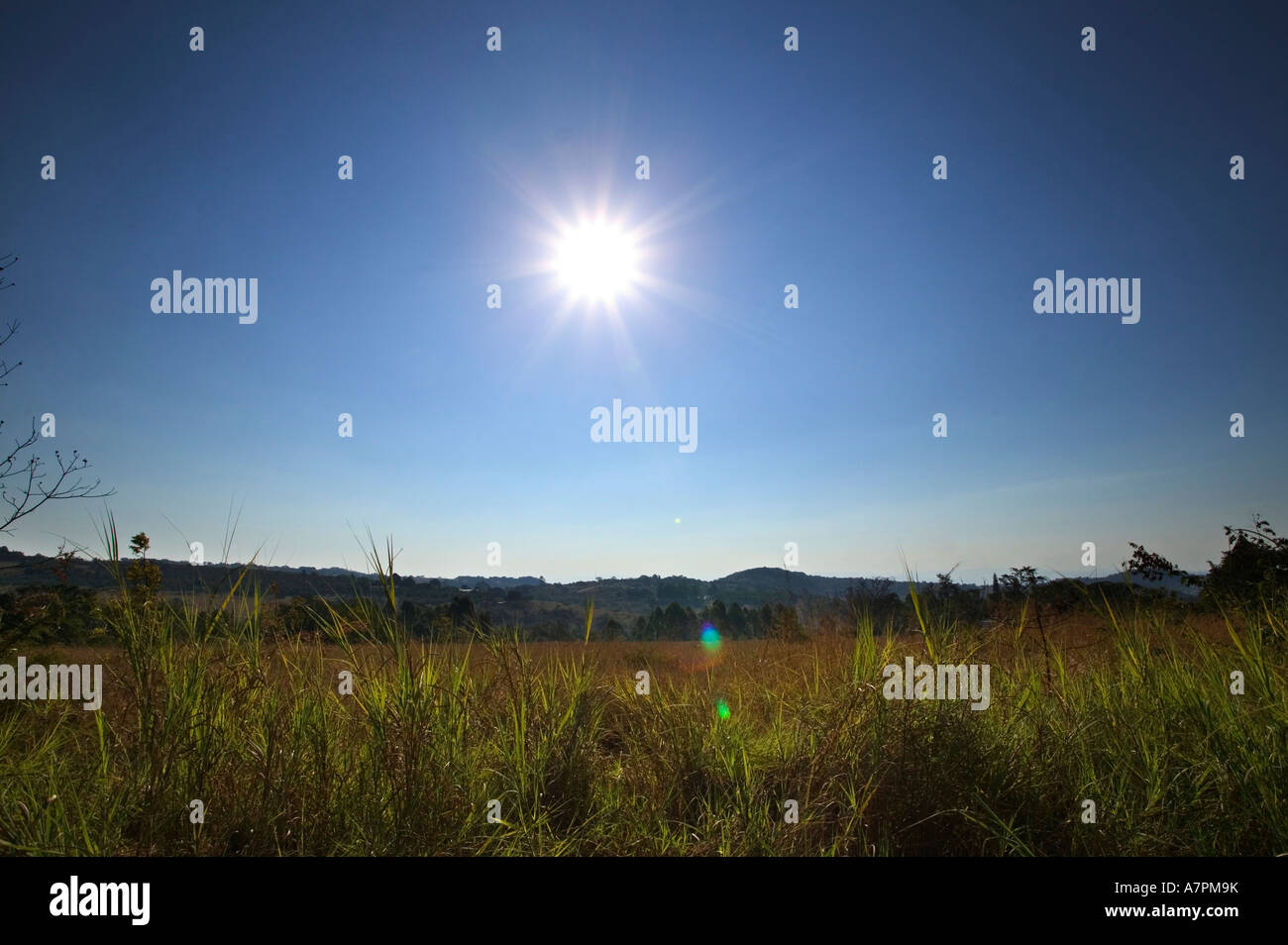 Everything under the sun hi-res stock photography and images - Alamy