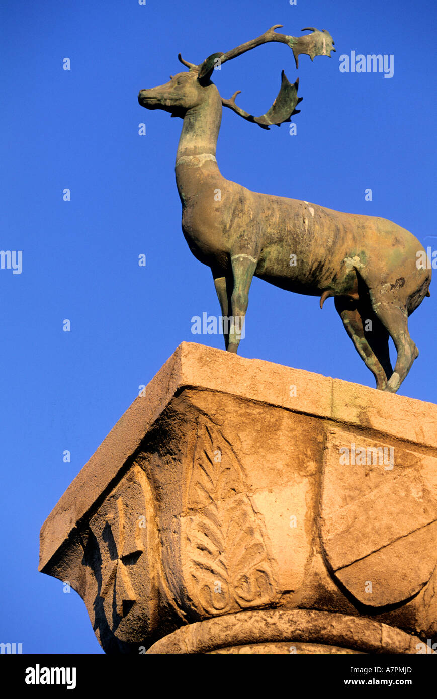 Stag column hi-res stock photography and images - Alamy