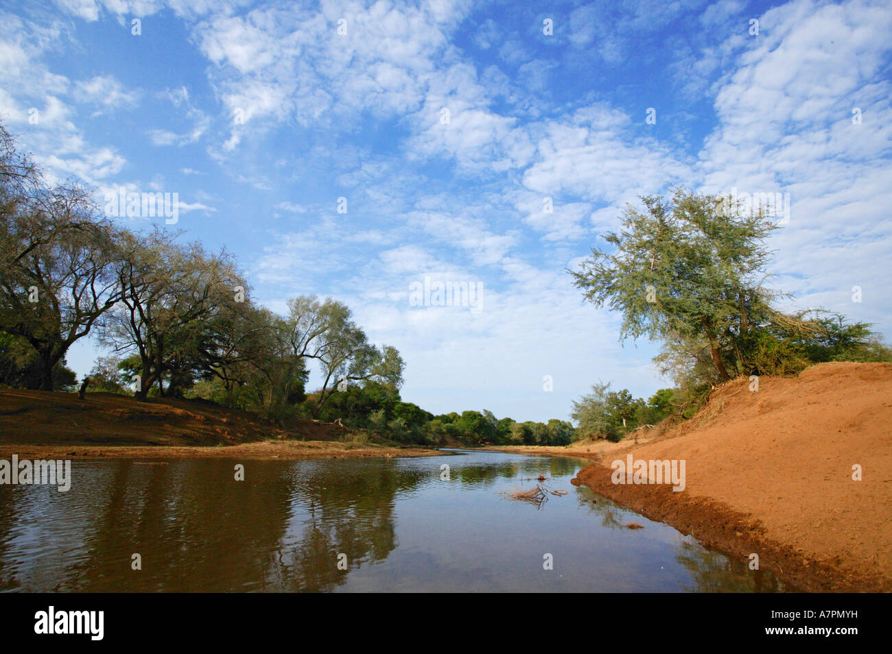 Luvuvhu River with a bank eroded by the passage of animals coming to ...