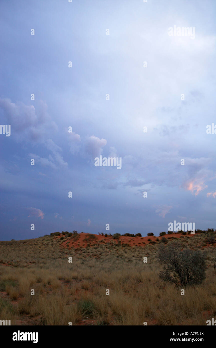 Dunes in the Kalahari Kgalagadi Transfrontier Park Northern Cape South ...
