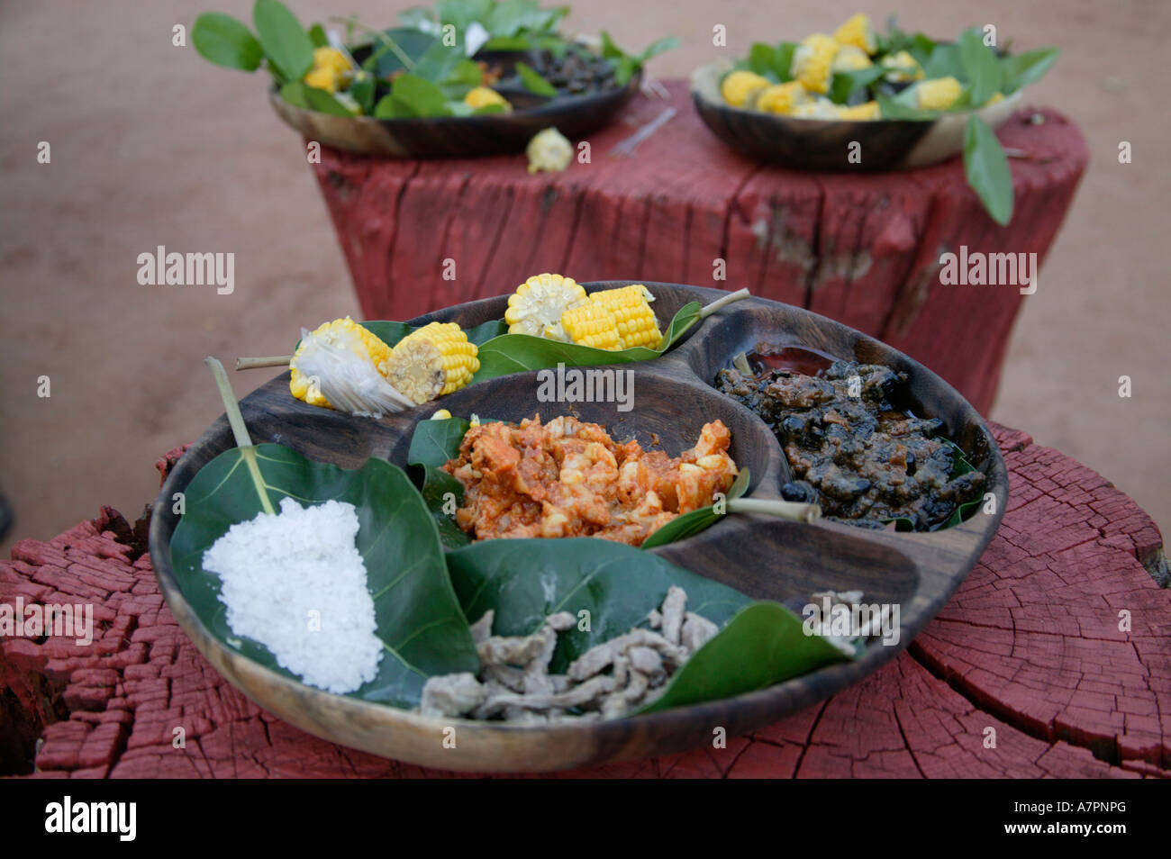 Snacks offered to tourists at the Shangana cultural village The platter ...