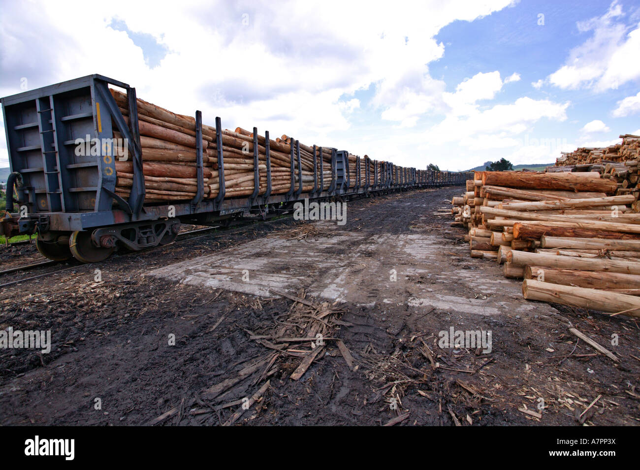 Train transported rail hi-res stock photography and images - Alamy